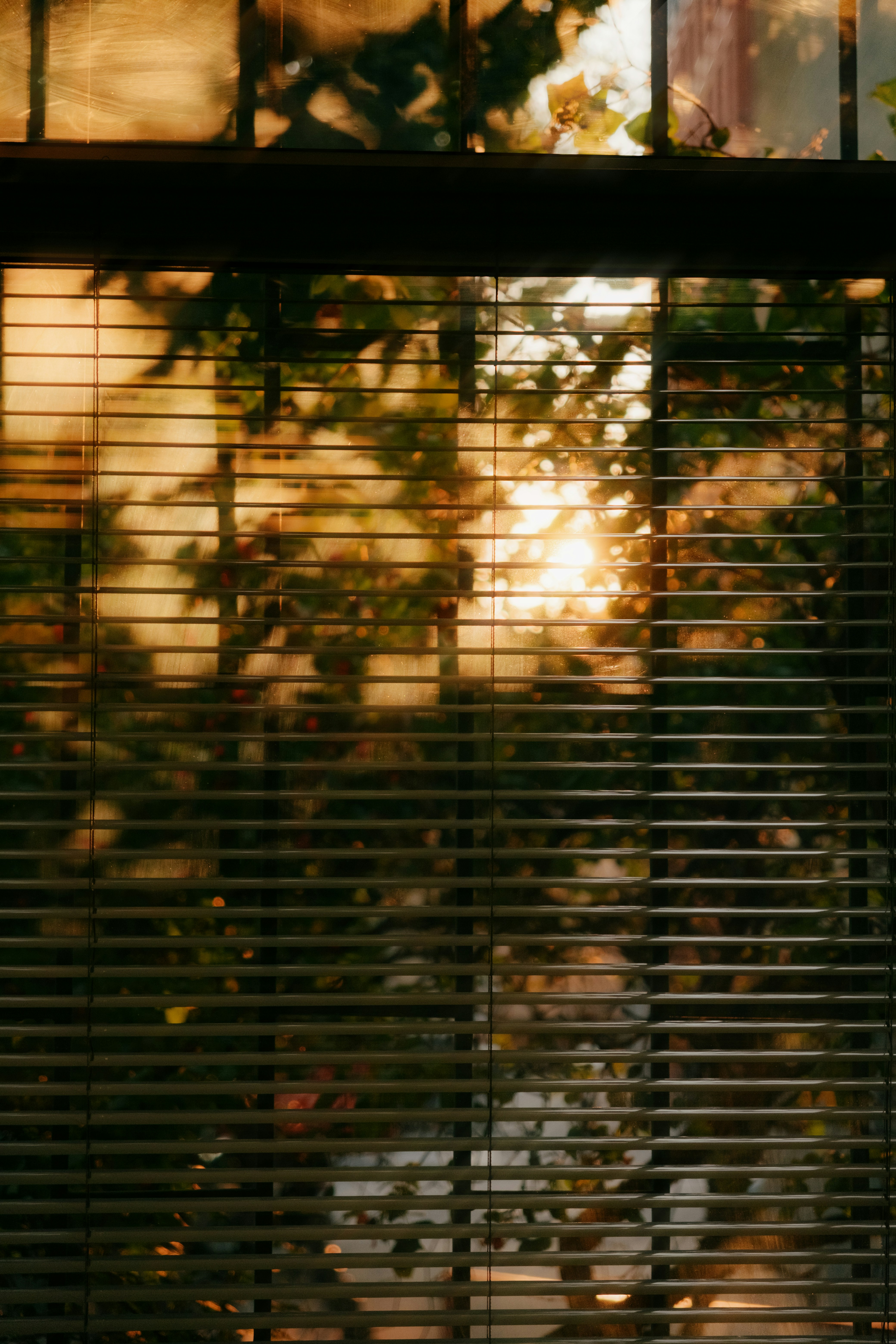 Sunlit Curtain of Slats: Quiet Light Beyond the Blinds