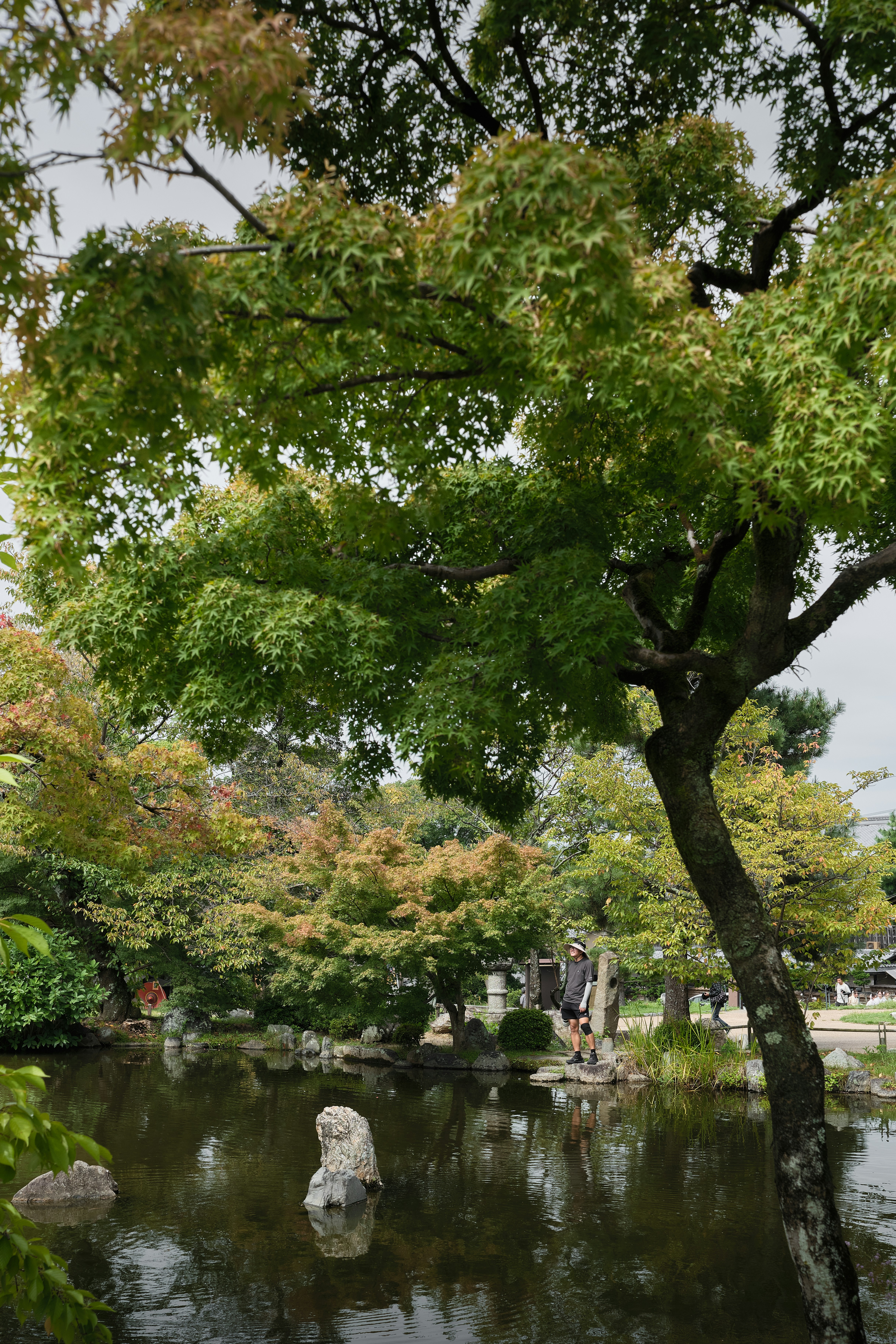 Calm landscape with a pond, stones, and a lone figure under a lush, overhanging tree in a serene garden setting.