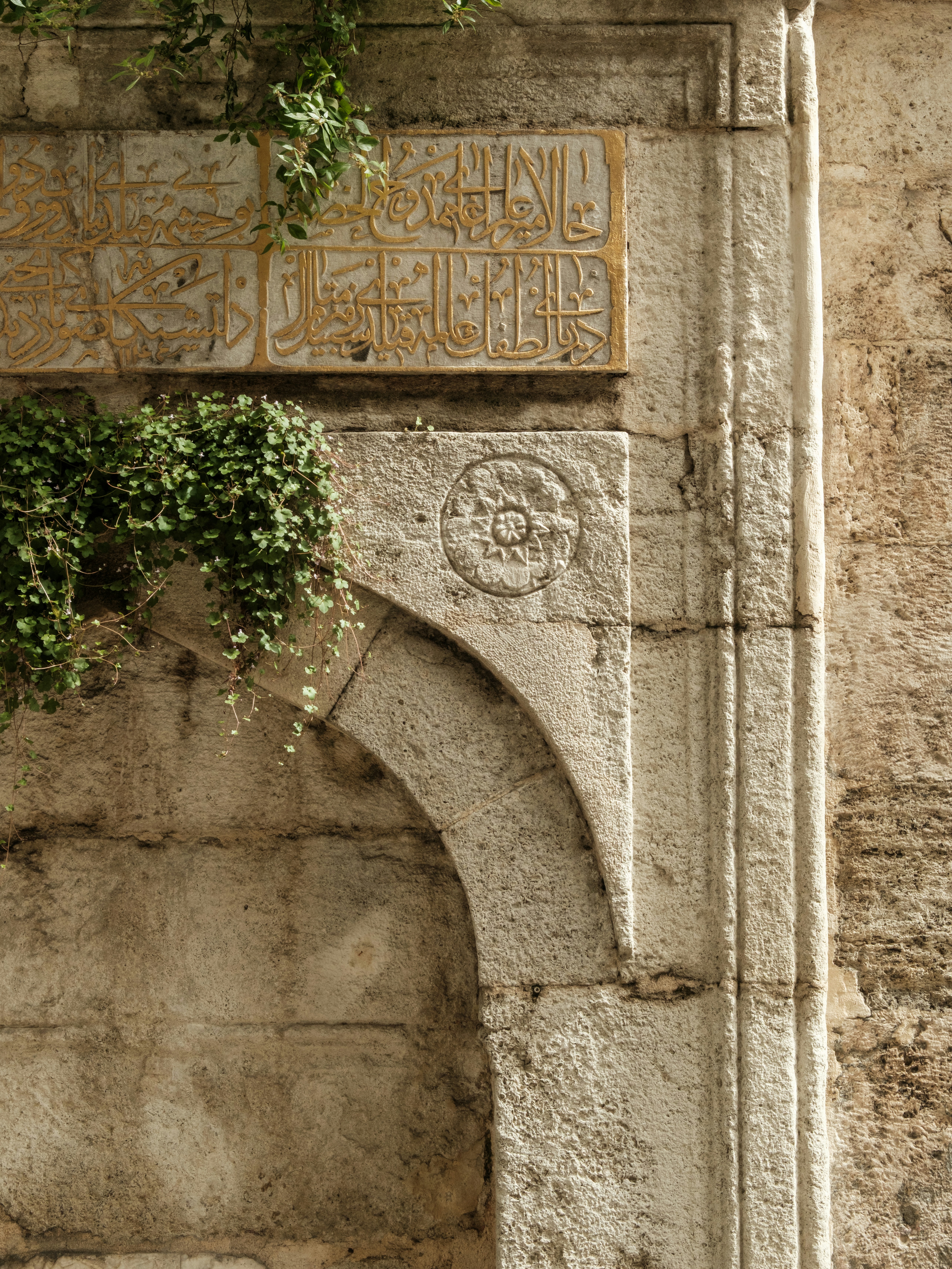 Overgrown Archiframe: Carved Stone and Foliage on an Ancient Wall