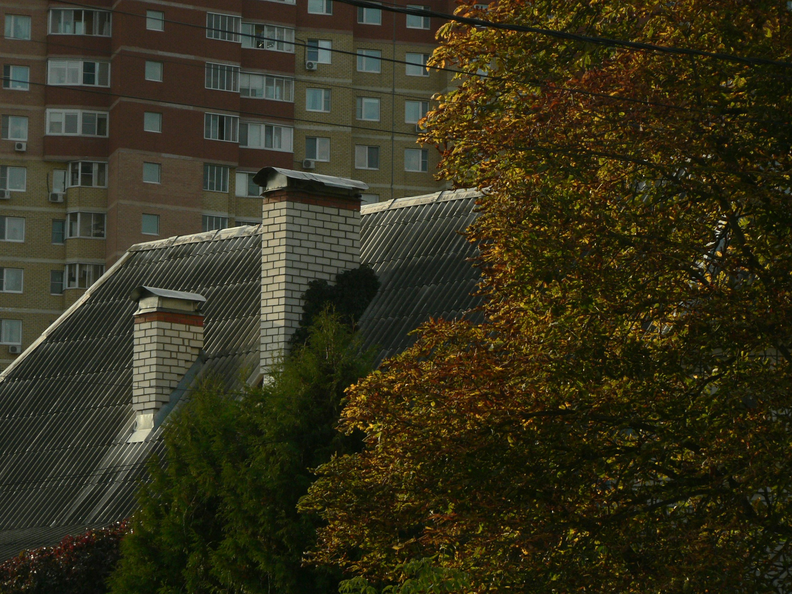 Autumn Roofscape with Distant Apartment Block