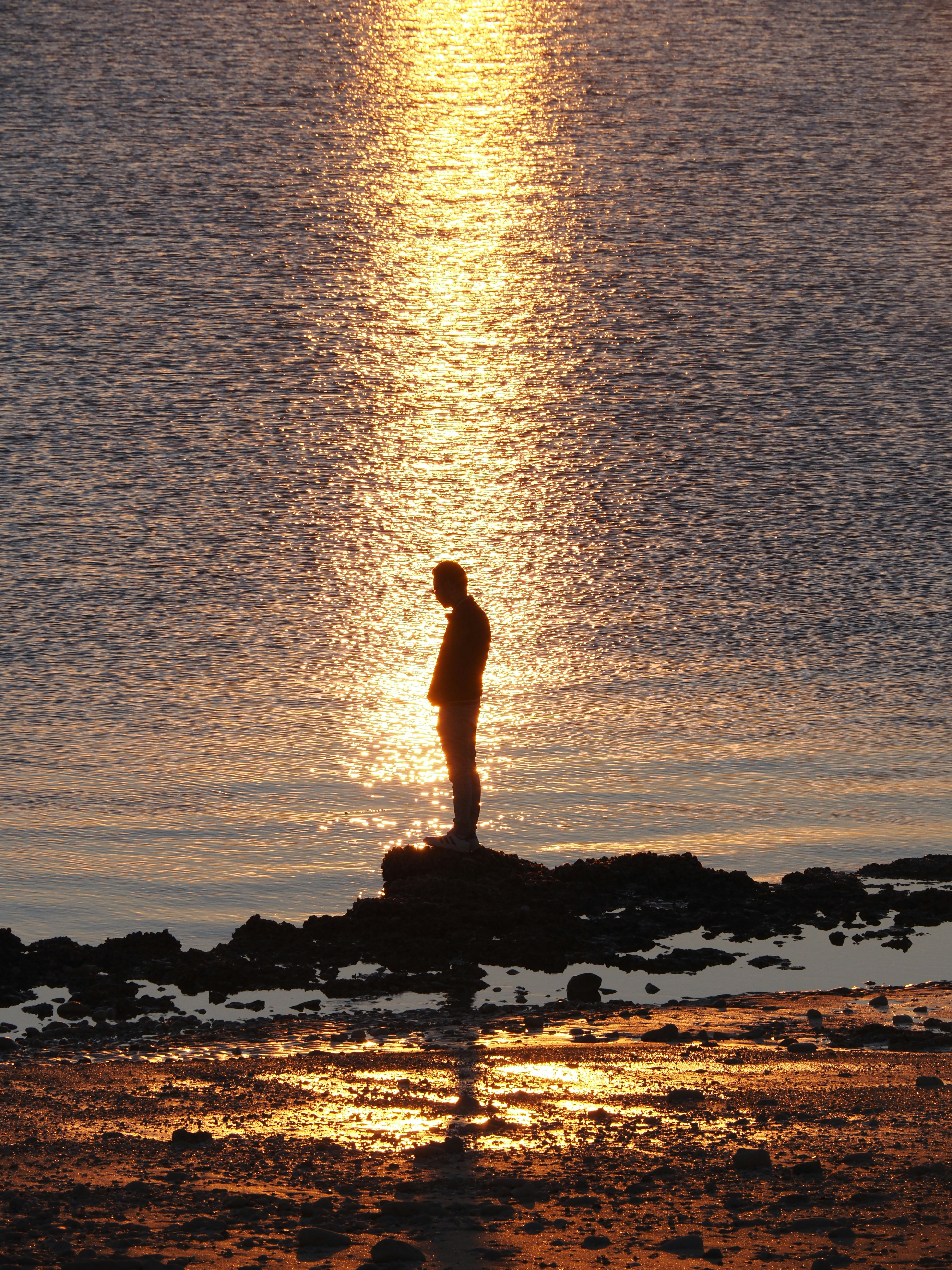 Solitary Figure at Sunset: Silhouette on the Tidal Edge