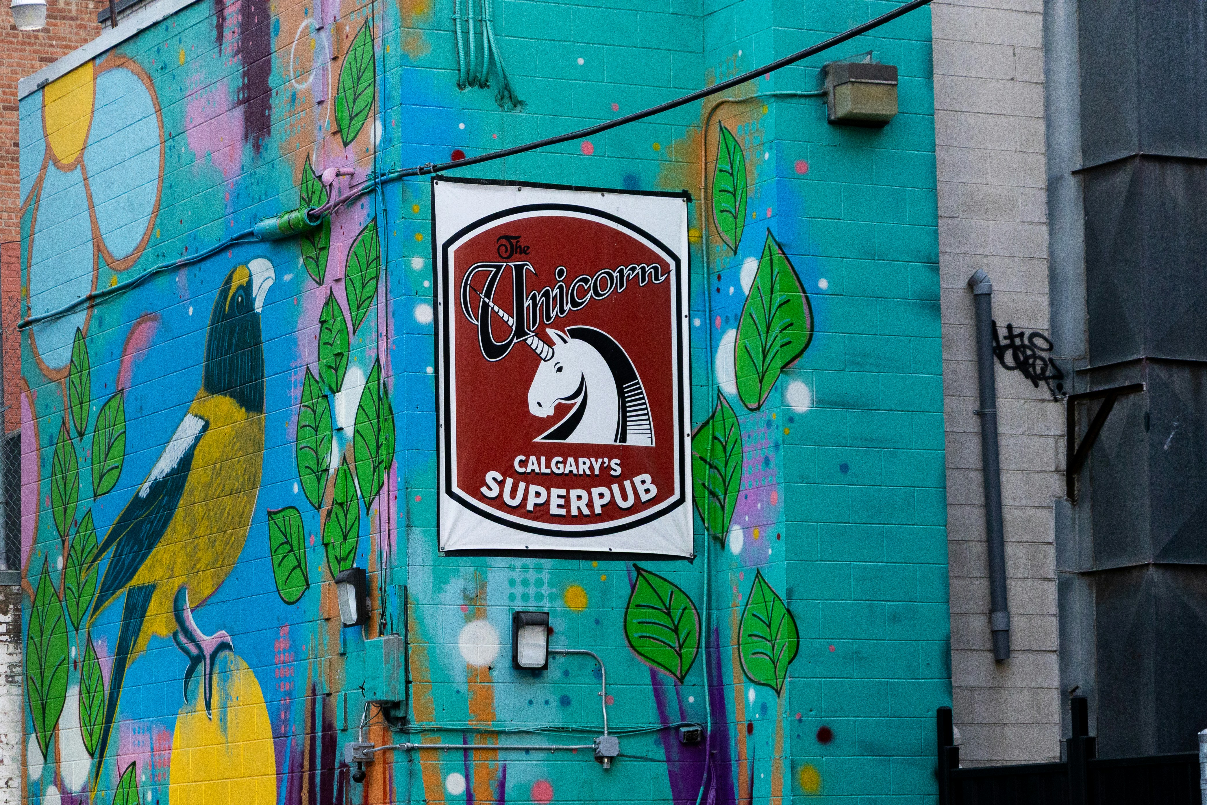 Unicorn Sign Amid Verdant Street Mural