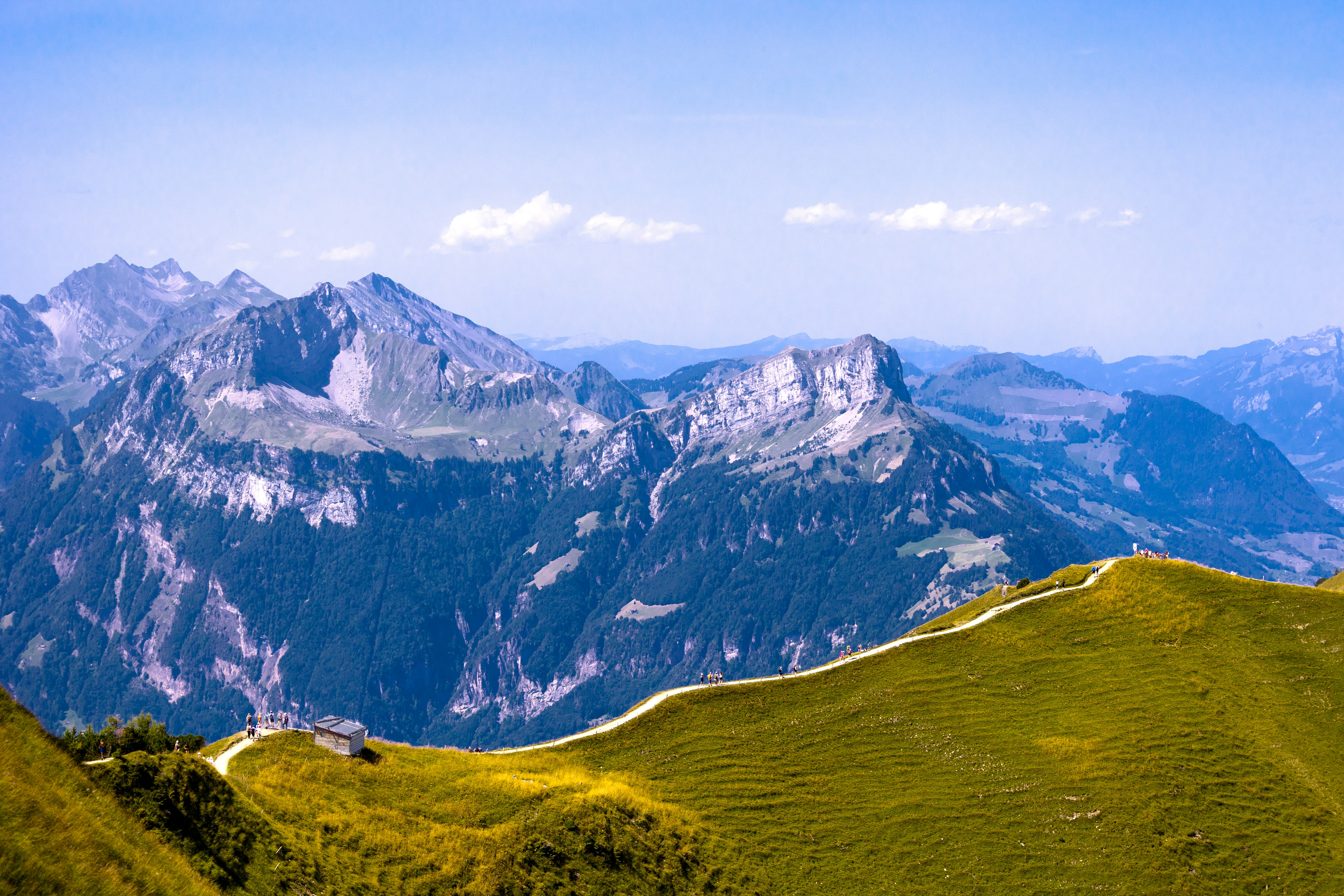 Mountain Crest at Distant Ridge