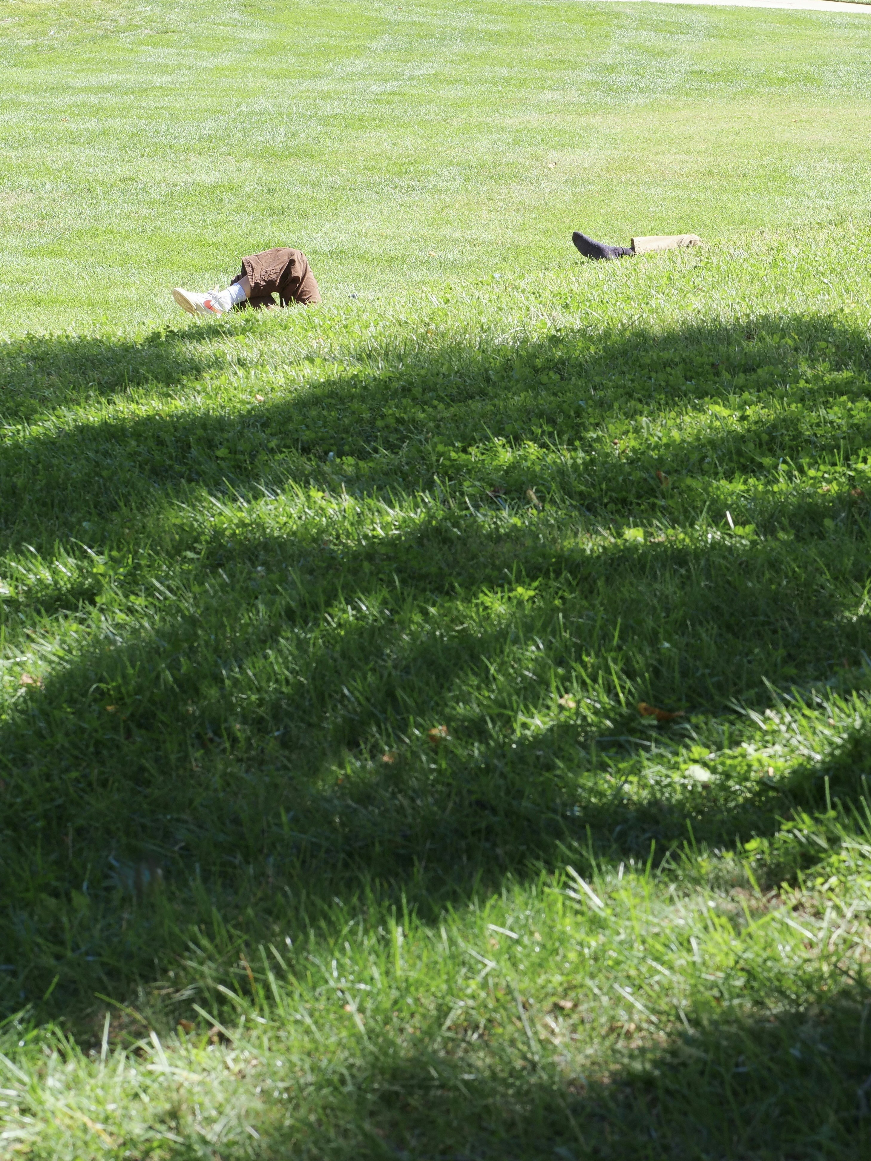 Hidden Shoes in the Sunlit Park