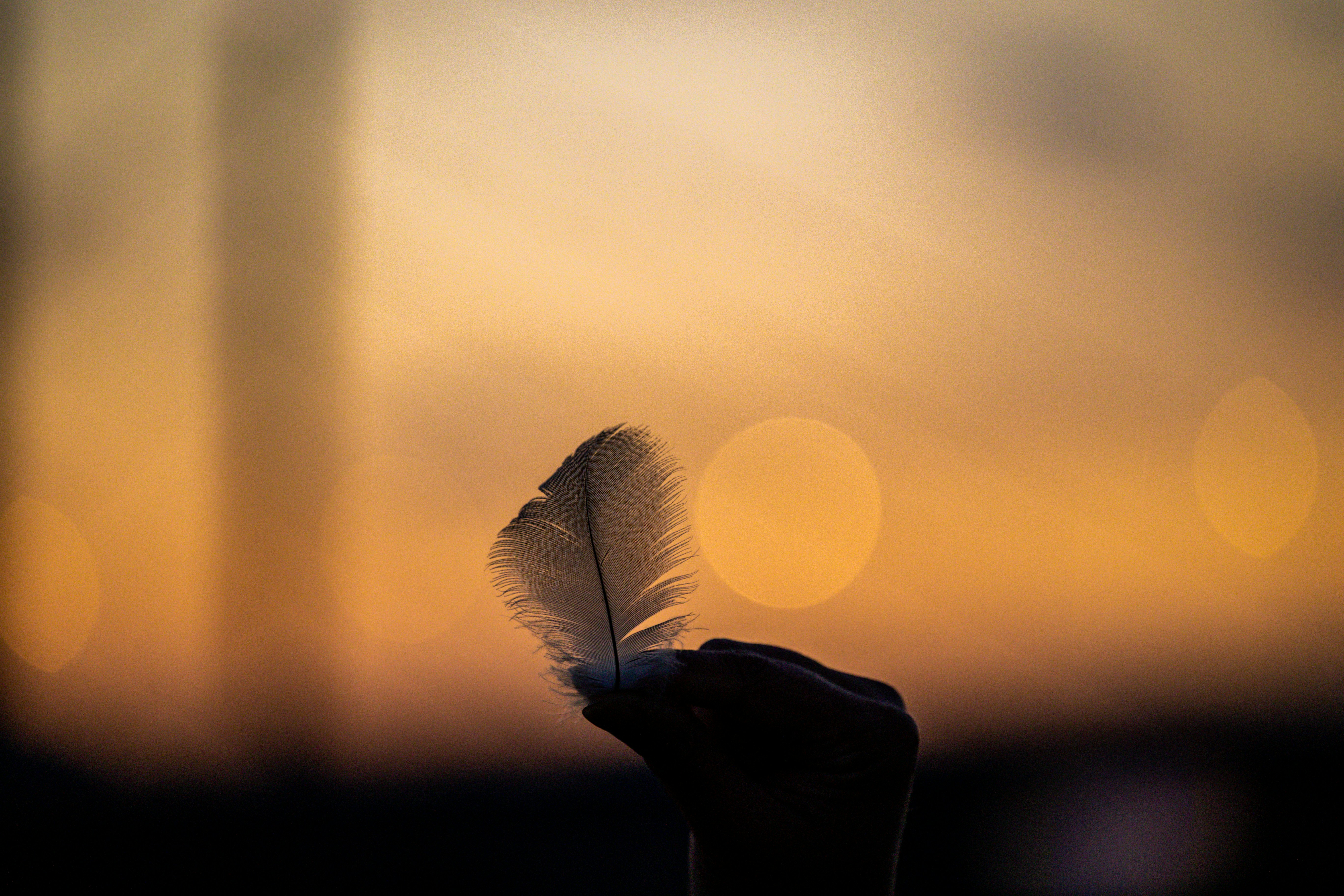 Feather in Sunset: A Delicate Shard of Light Against Silhouetted Hand