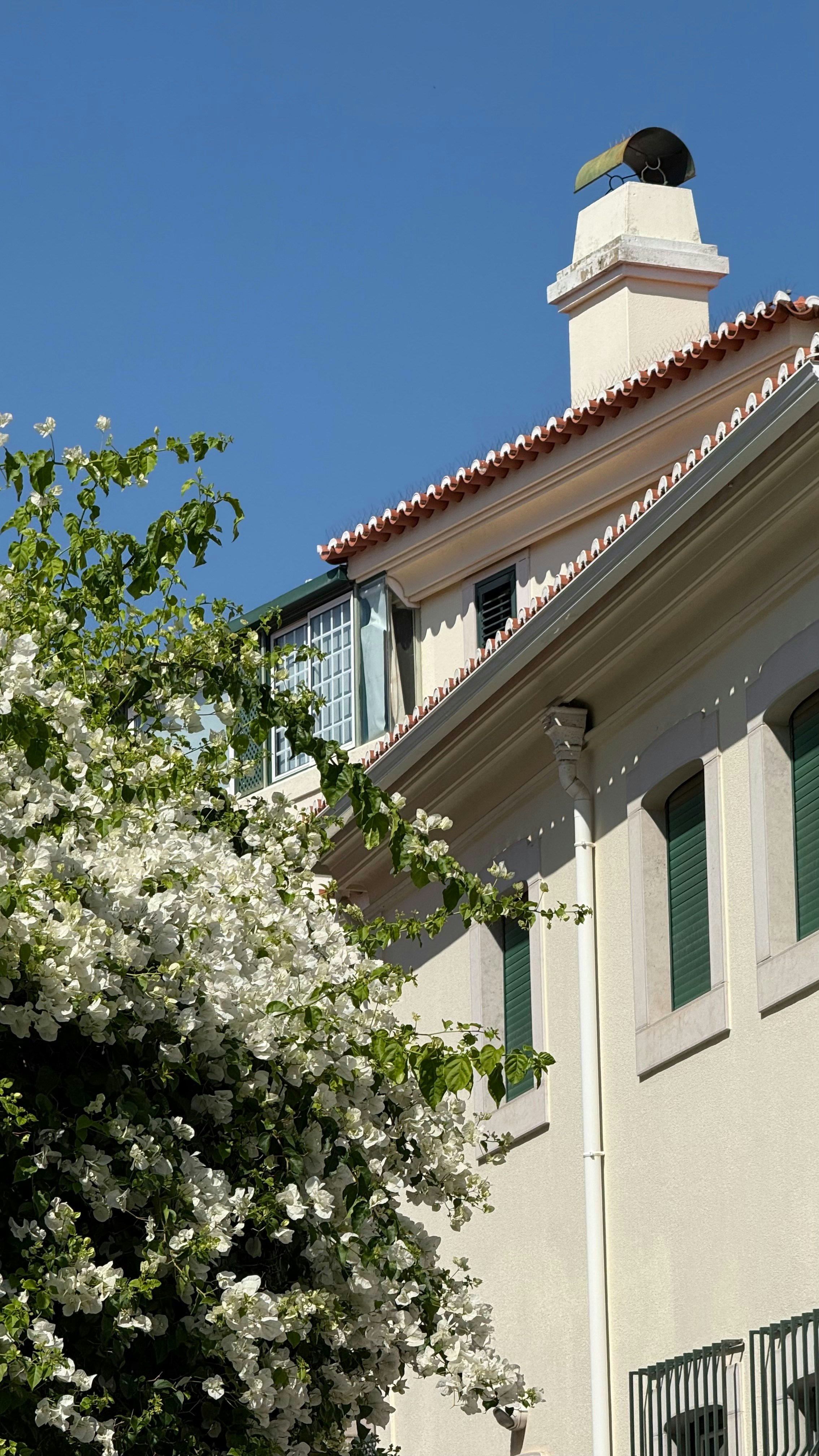 Sunlit building with a tiled roof and a white chimney peeks above lush white blossoms and green foliage; a modern backdrop of a clear blue sky. Logo/architectural exterior shot.