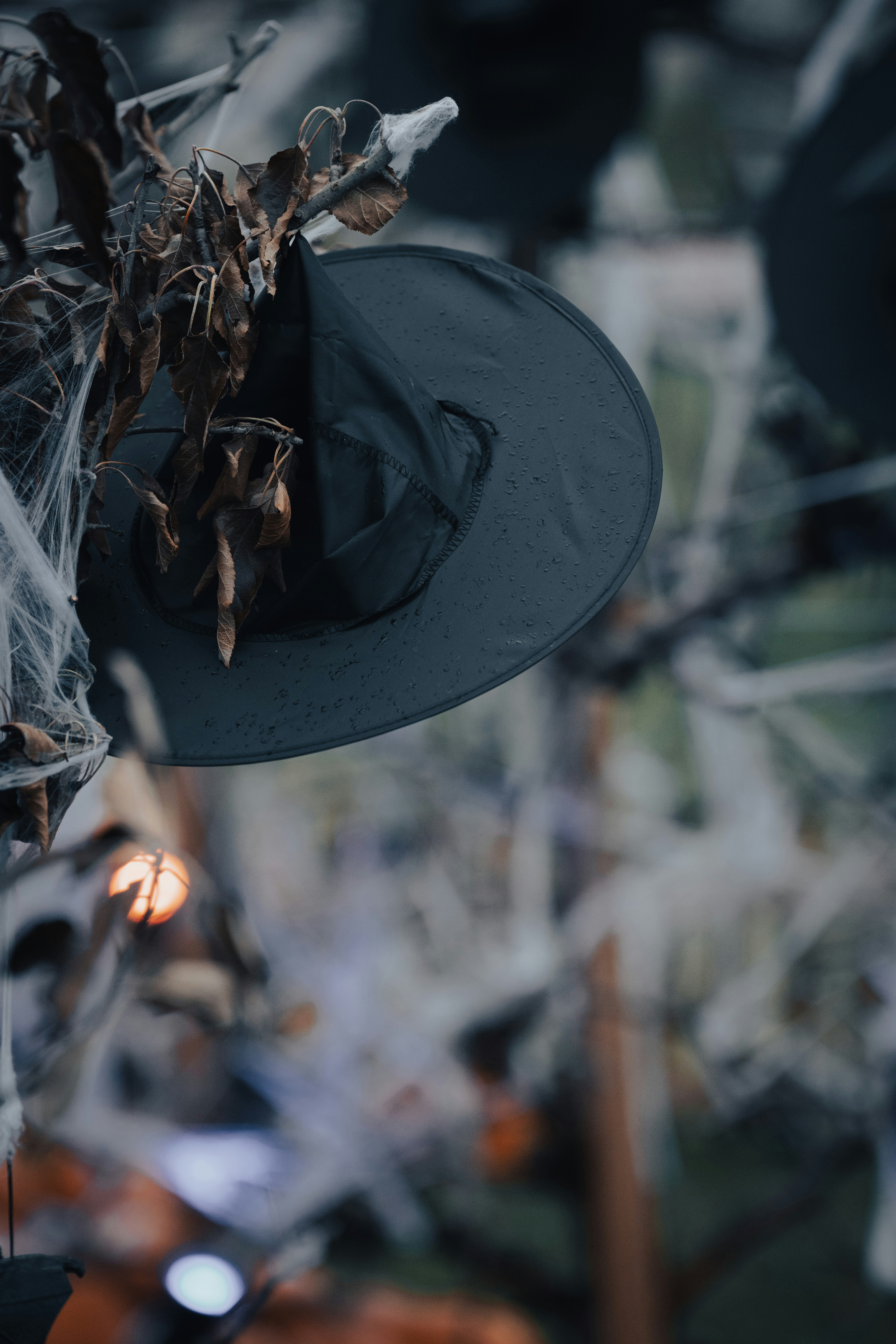 Dusty hat on a dark twig-lit street ceremony