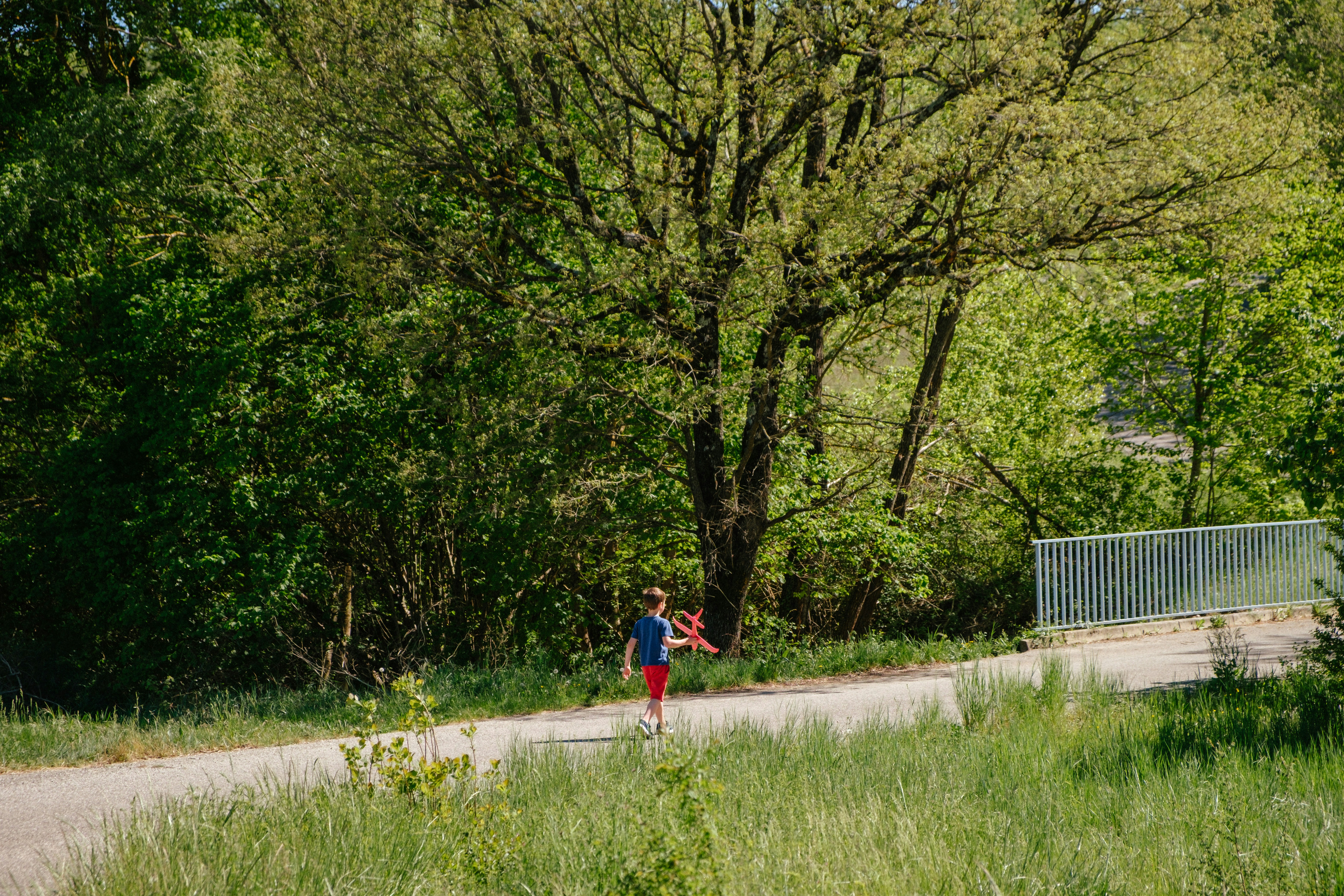 Pathway Portrait: A lone jogger on a sunlit riverside trail