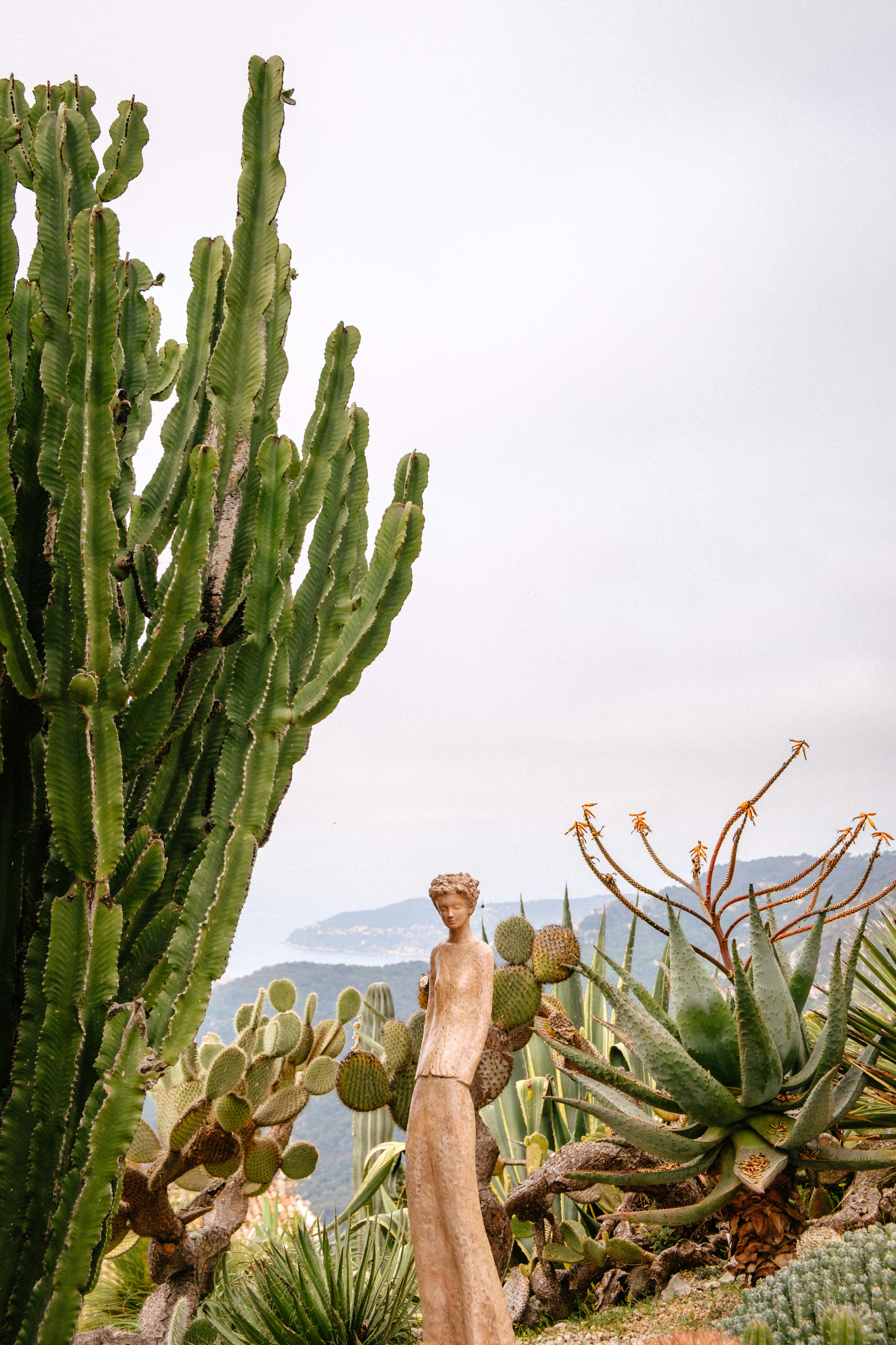 Desert Garden Sentinel: A lone statue among cacti against a distant sea