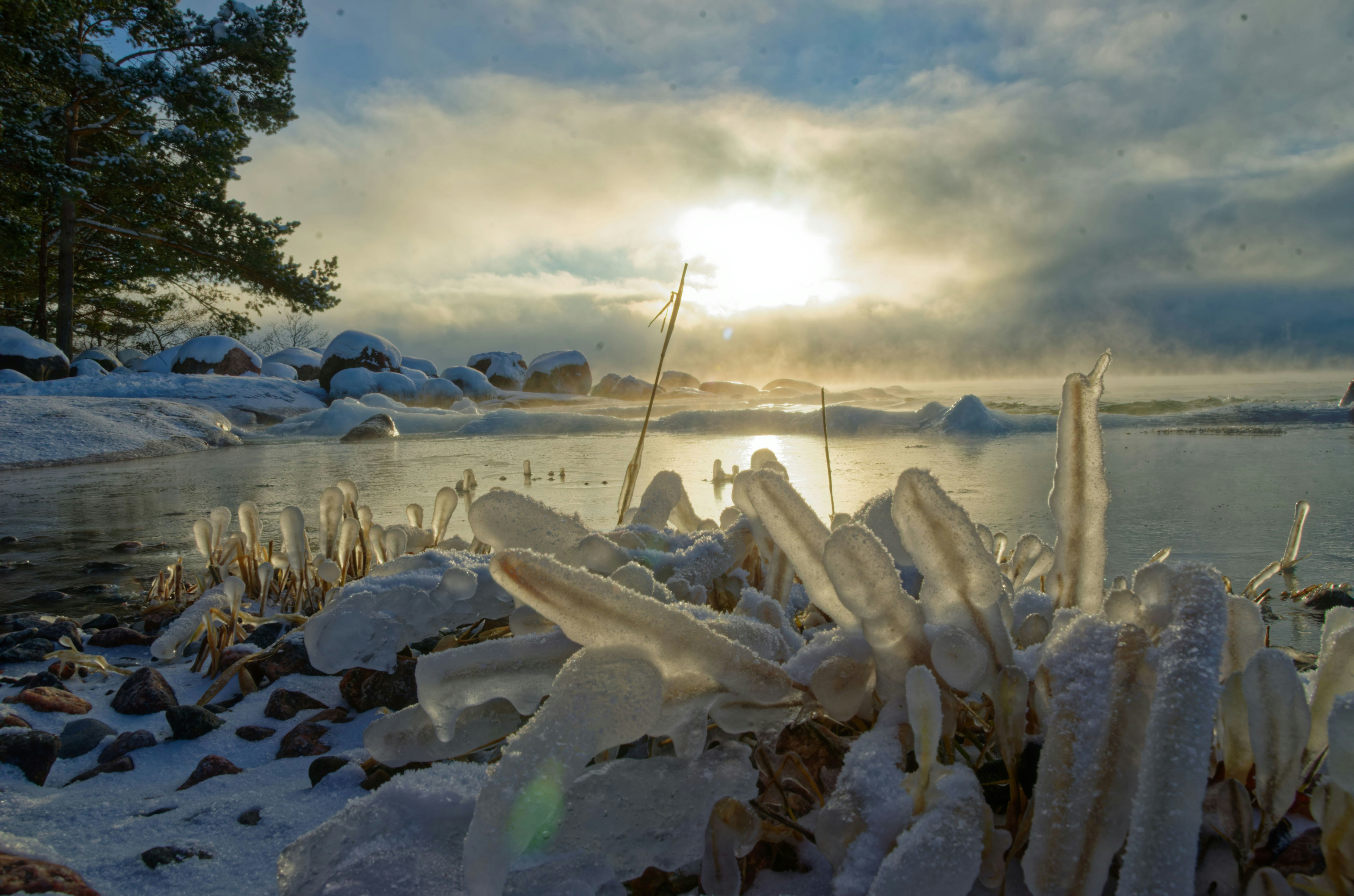 Icebound Horizon: Sunlit Shore and Frosted Drift