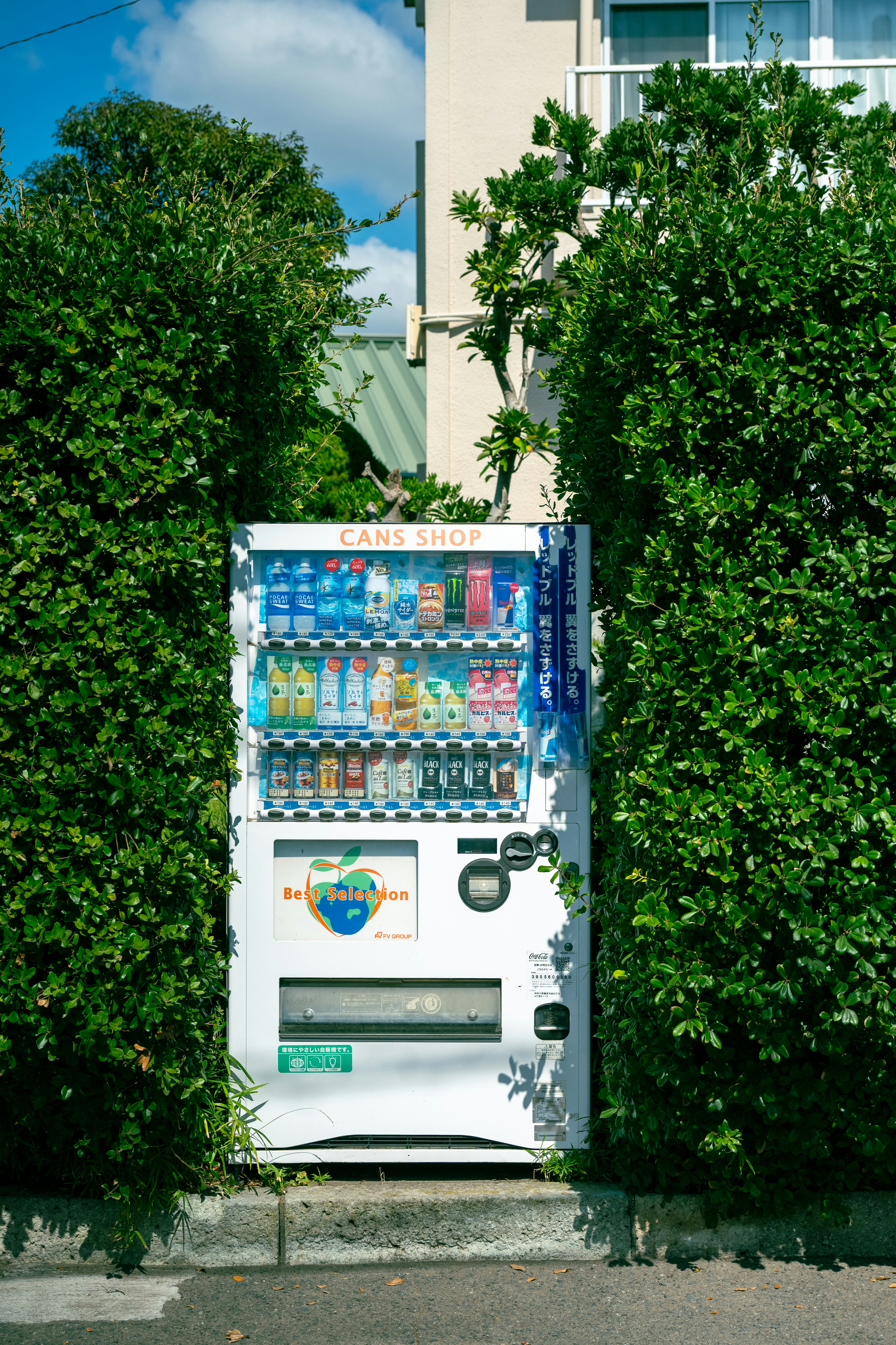 Automated Vending Oasis Between Green Walls