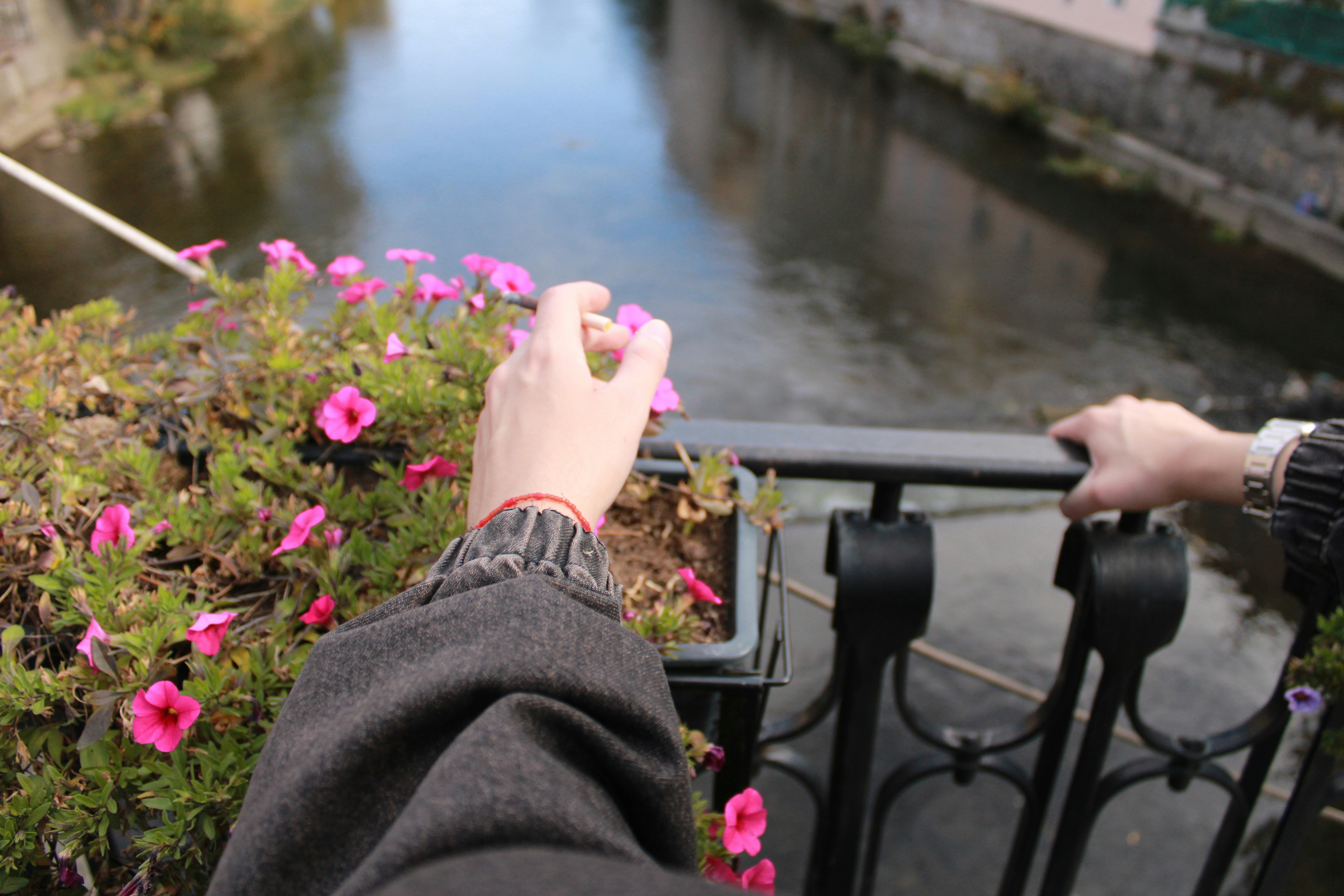 Hands on the Rail: A Moment of Floral Balance by the Canal