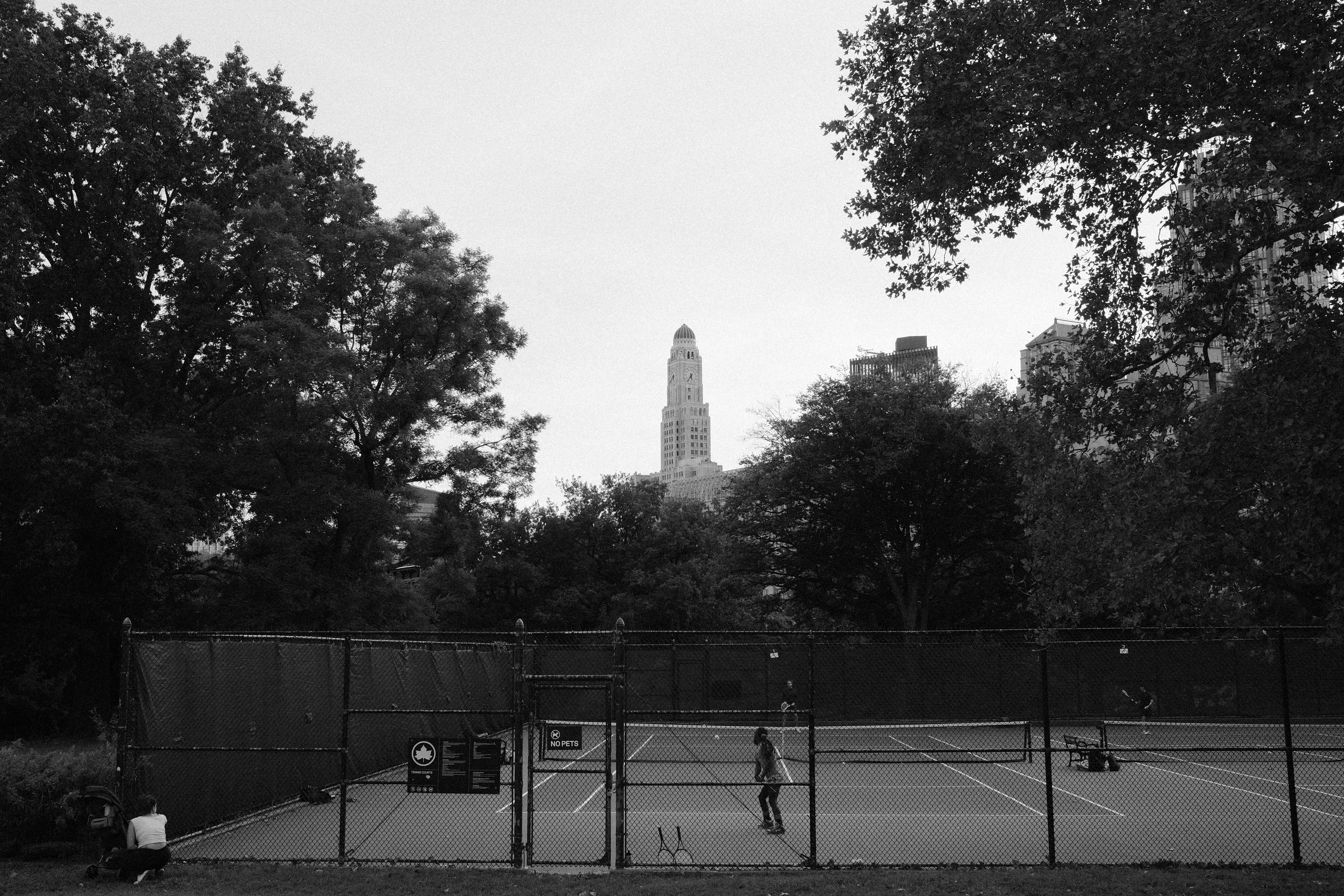 Midcourt Quiet: A City Tennis Court Framed by Trees