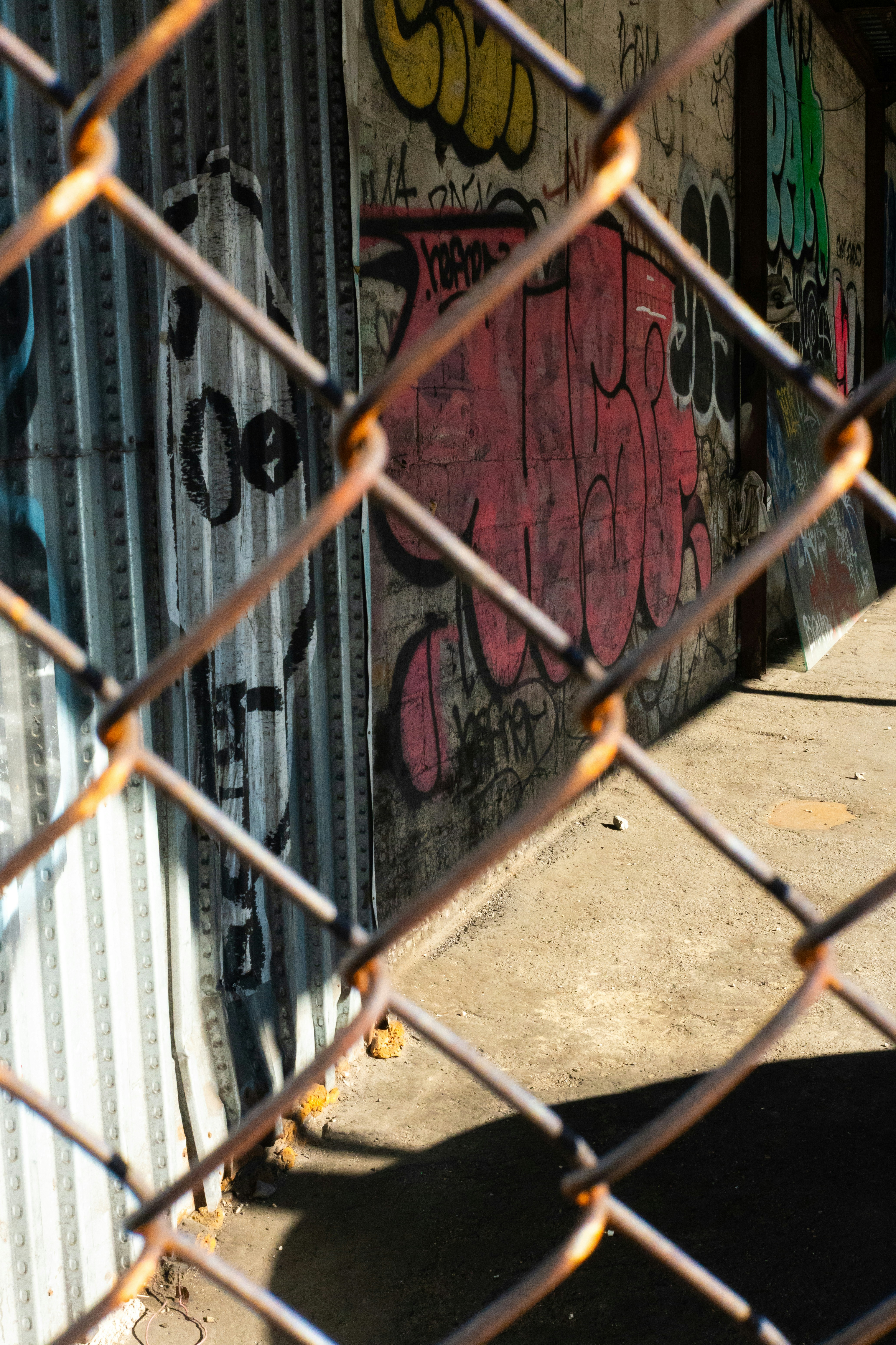 Graffiti Veil: Worn Fence Framing a Sunlit Alley