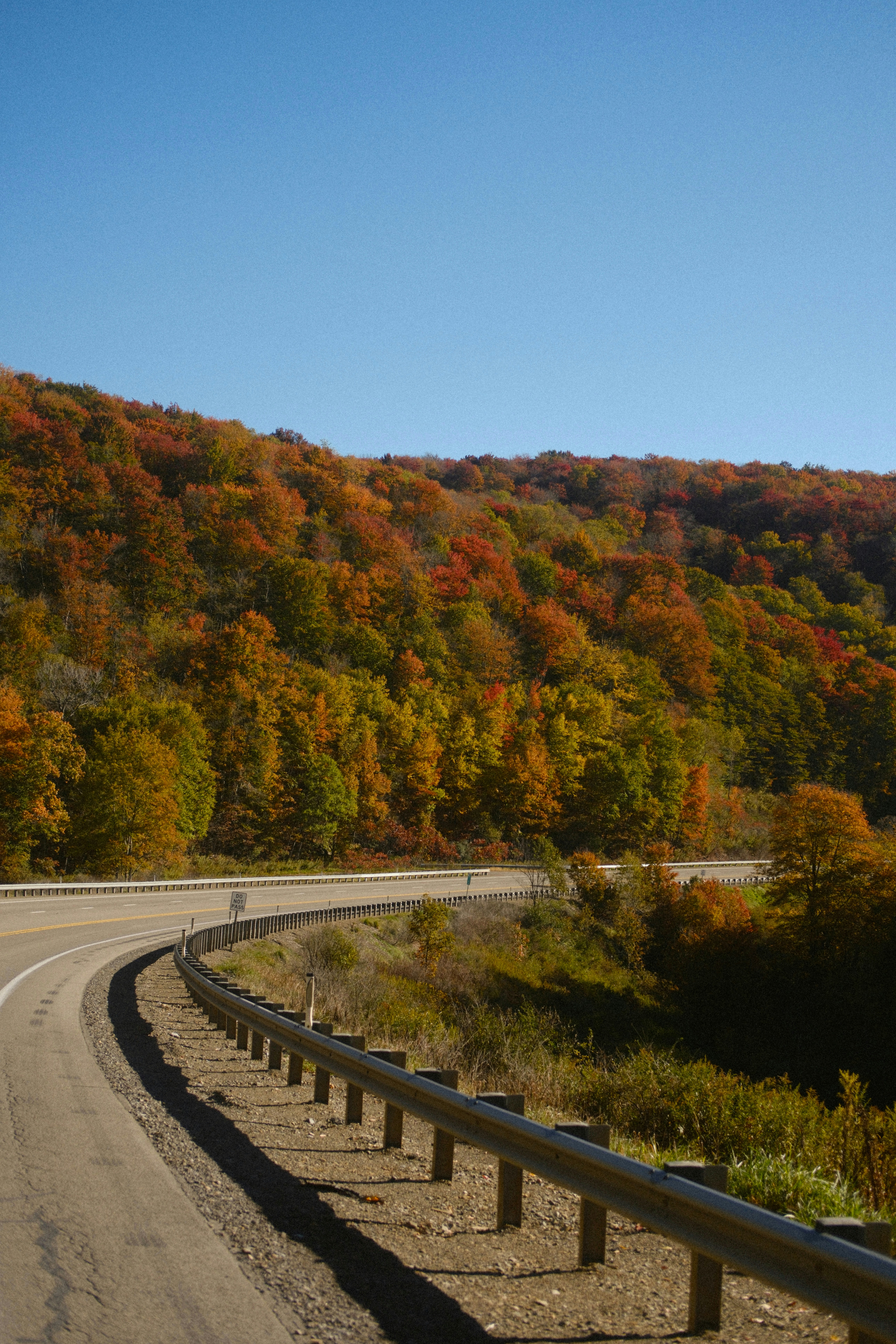 Autumn Highway Bend Amid Rolling Colored Forest