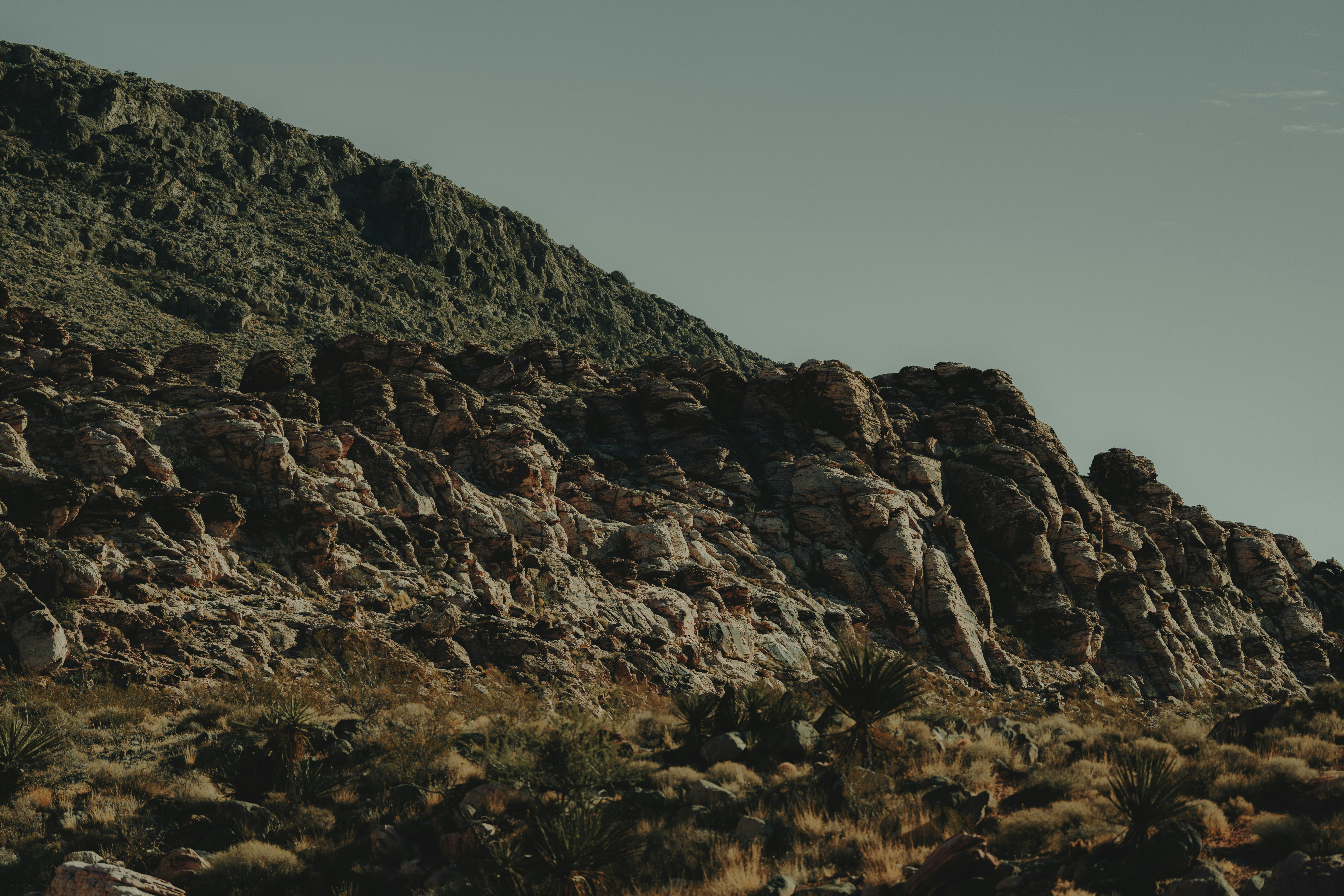 Desert rocks and scrubland stretch beneath a pale sky, with rugged boulders forming a jagged ridge across the horizon.