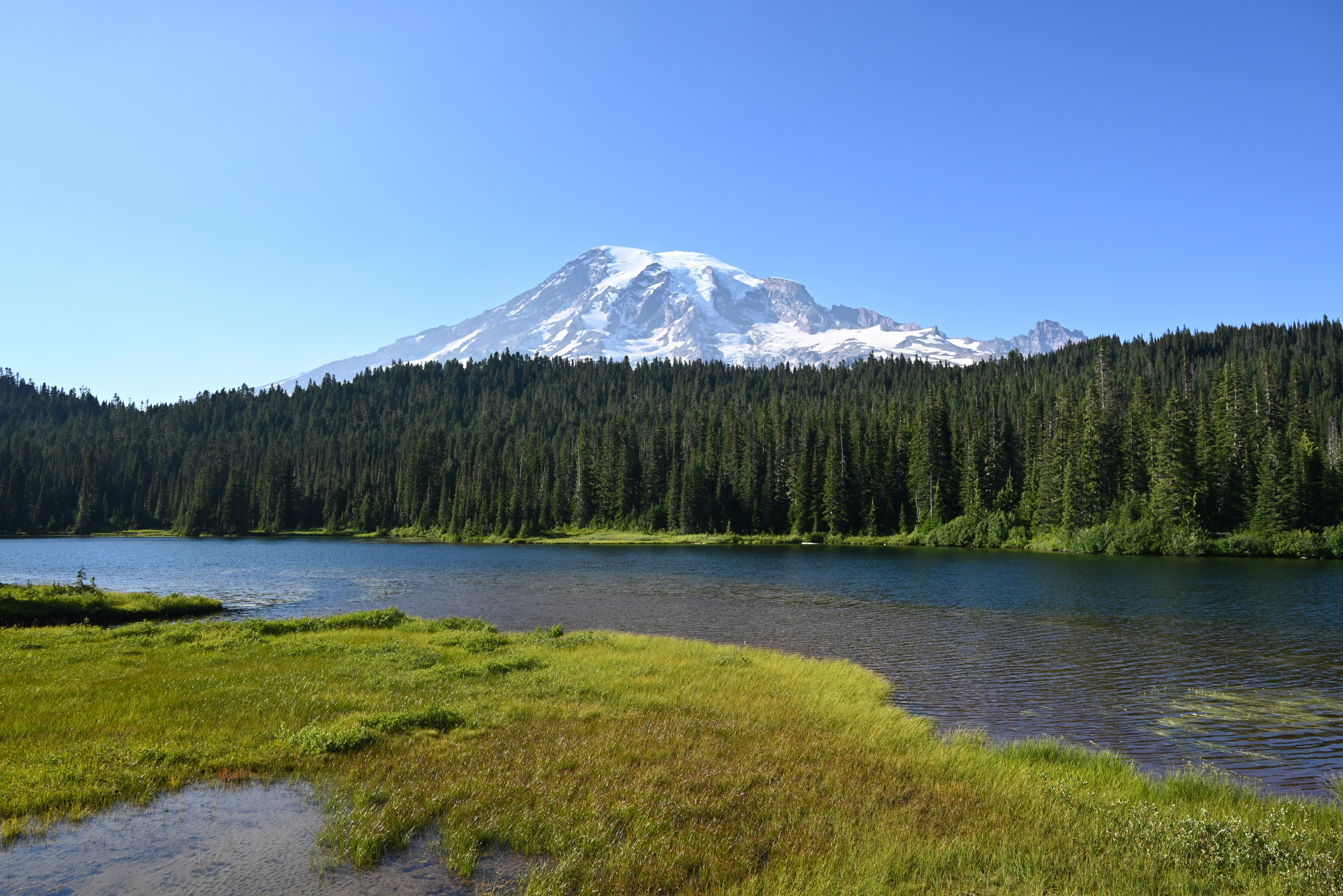 A unique perspective of Mount Rainier towering over Reflection Lake in Washington, emphasizing a vibrant field of bright green grass in the foreground. This capture focuses on the lush meadow contrasted against the tranquil turquoise water and the snow-capped peak, offering an interesting perspective on this iconic landscape.