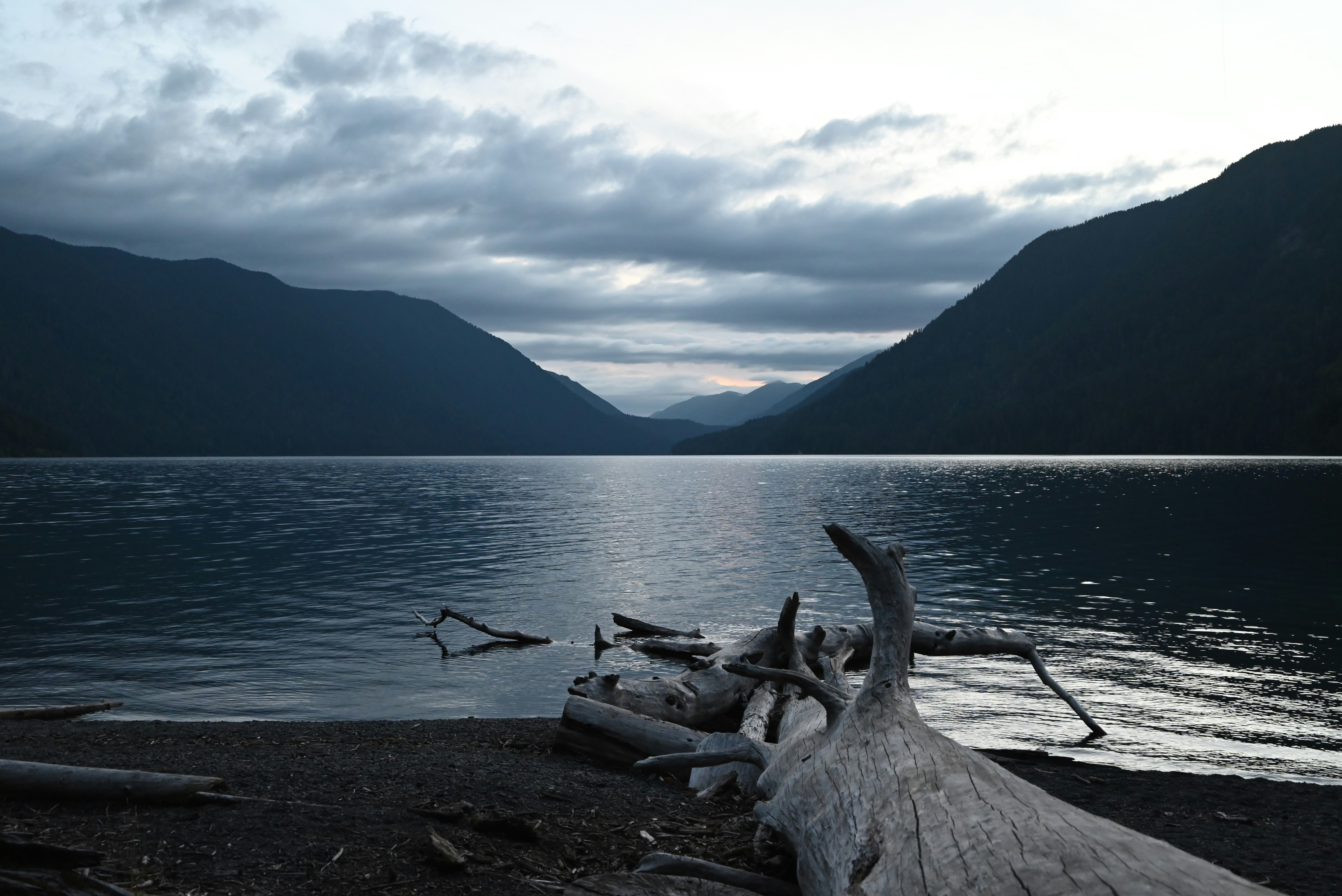 Driftwood on a dark shoreline with calm water and distant mountains under a cloudy sky.