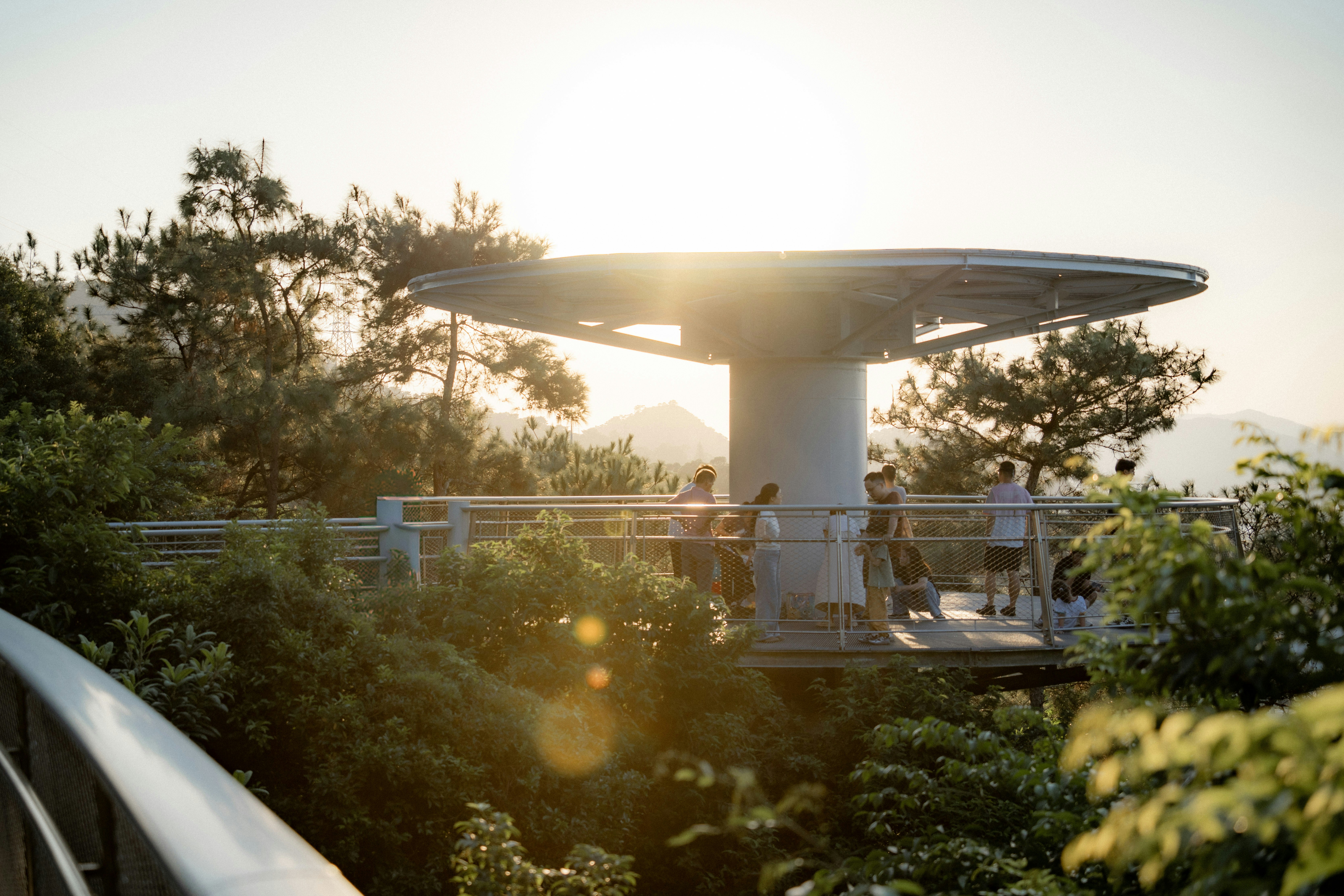 Sunlit overlook: a glass pavilion framed by trees at golden hour