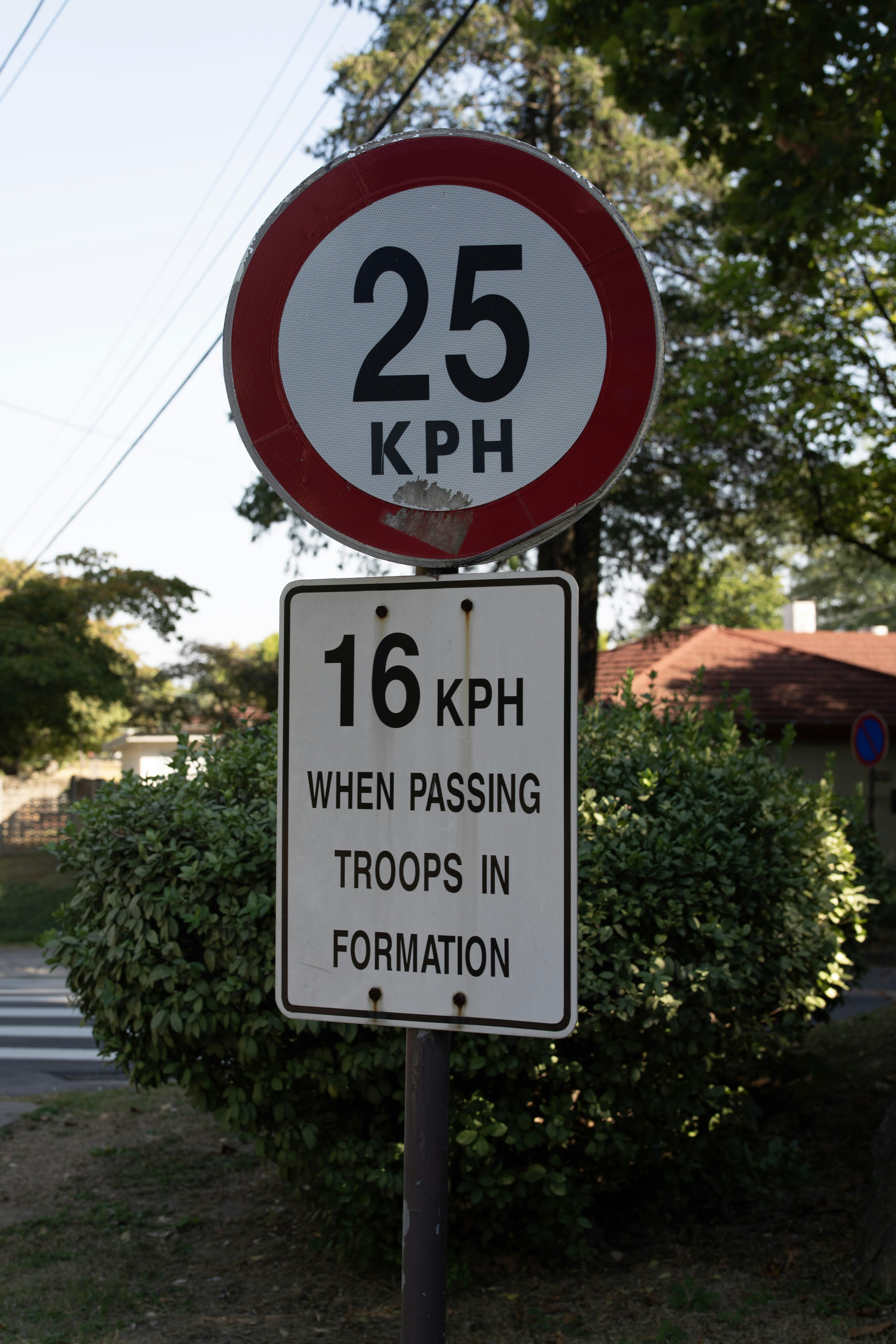 Speed Limit Sign Duo: A Street Corner's Quiet Command