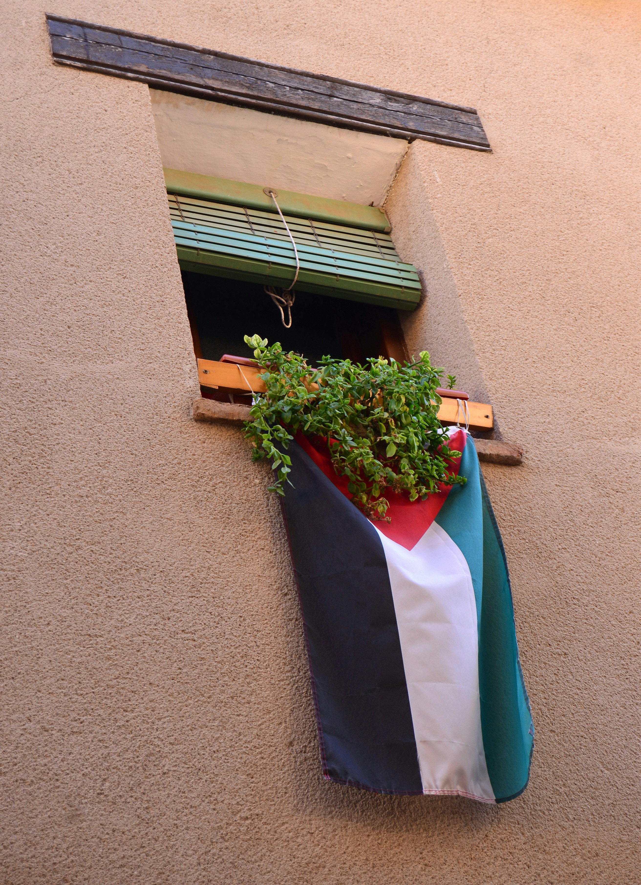 Flag draped over a balcony planter with green foliage against a stucco wall; a small window with green shutters sits above. This emphasizes everyday urban decor and a touch of national symbolism.