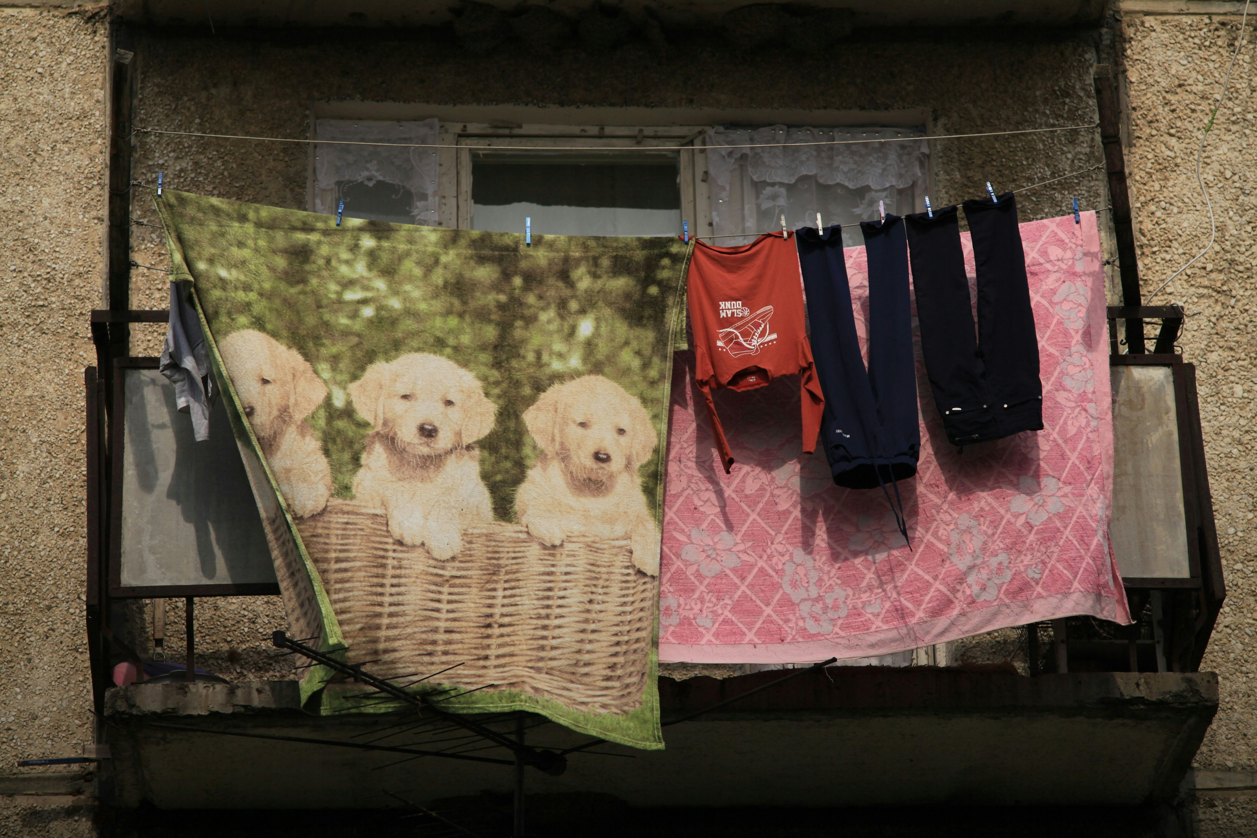 Laundry on a sunlit balcony: puppies fade into the woven basket relief
