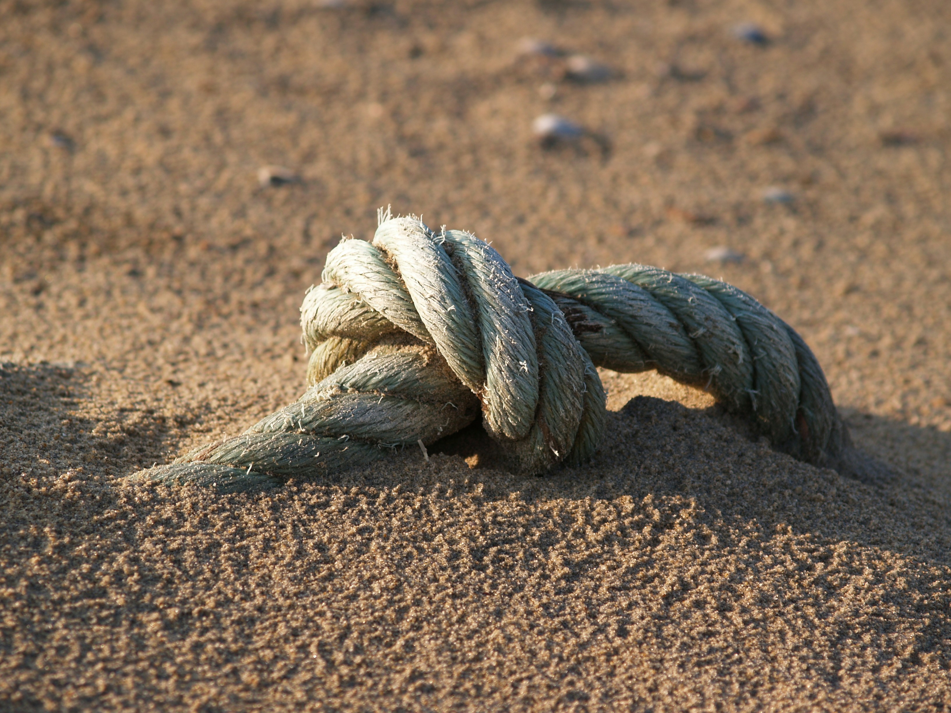 Close-up of a weathered rope coil partially buried in fine sand, with textured grains and a sunlit shoreline backdrop. A study in tactile fibers and subtle shadows.