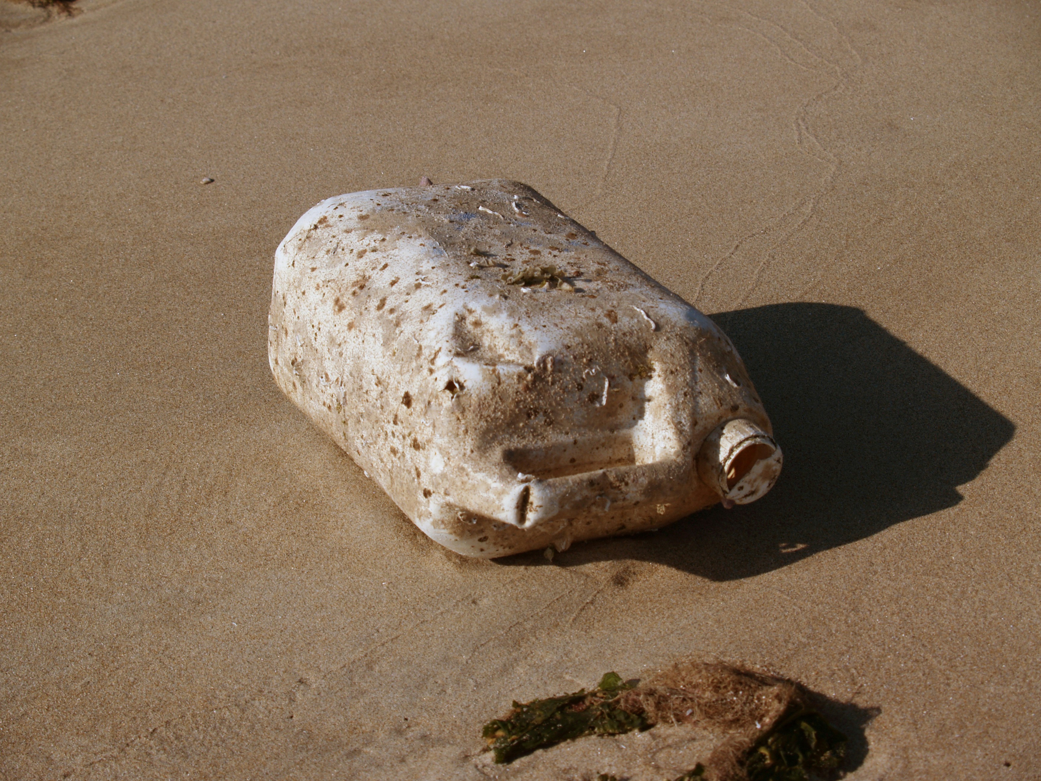 A weathered plastic container lies partially buried in sunlit sand, casting a stark shadow nearby; a small patch of seaweed remains in the foreground, suggesting shoreline debris and the passage of time.