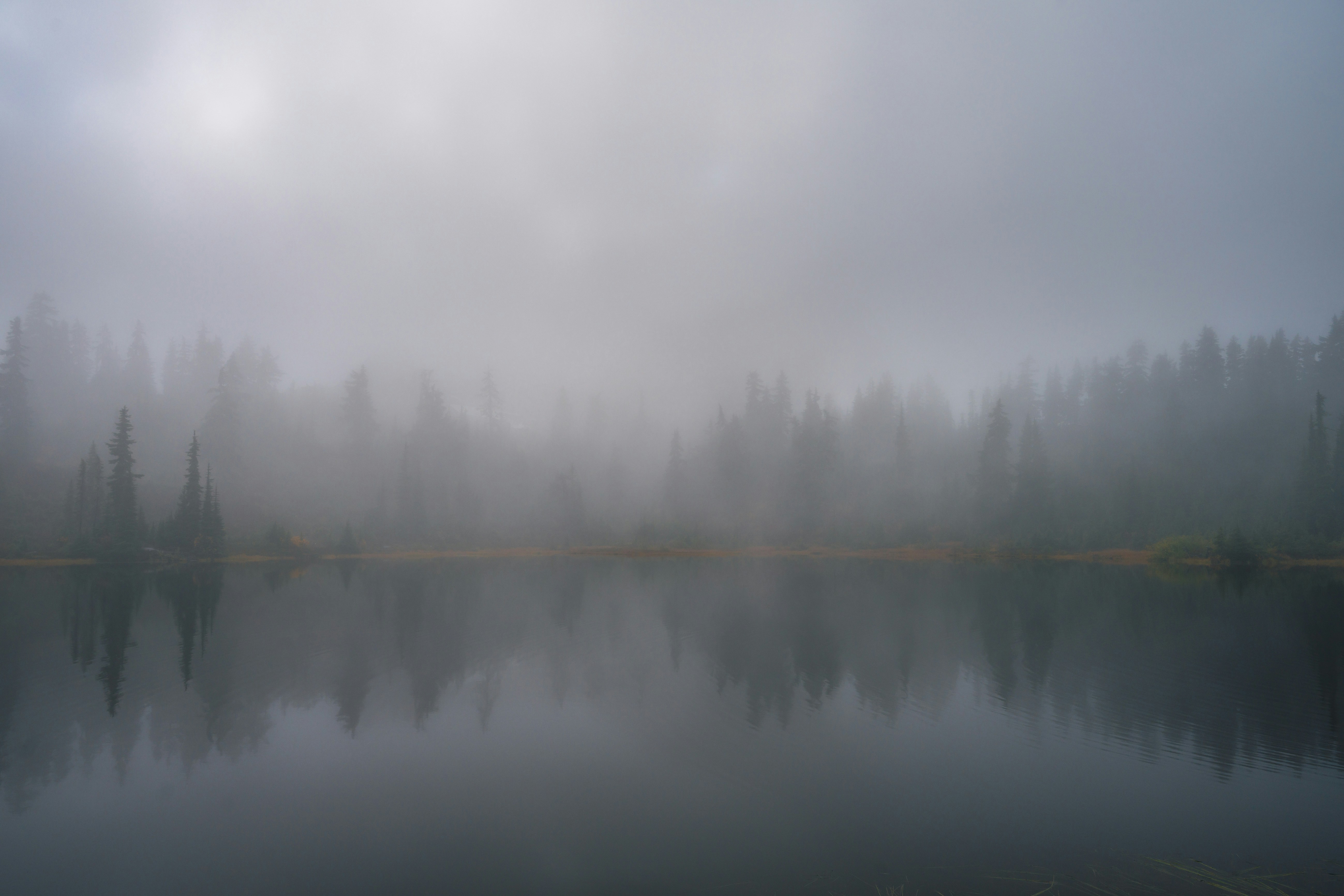 Mist Over Mirror: A Quiet Lake Veiled in Quiet Fog