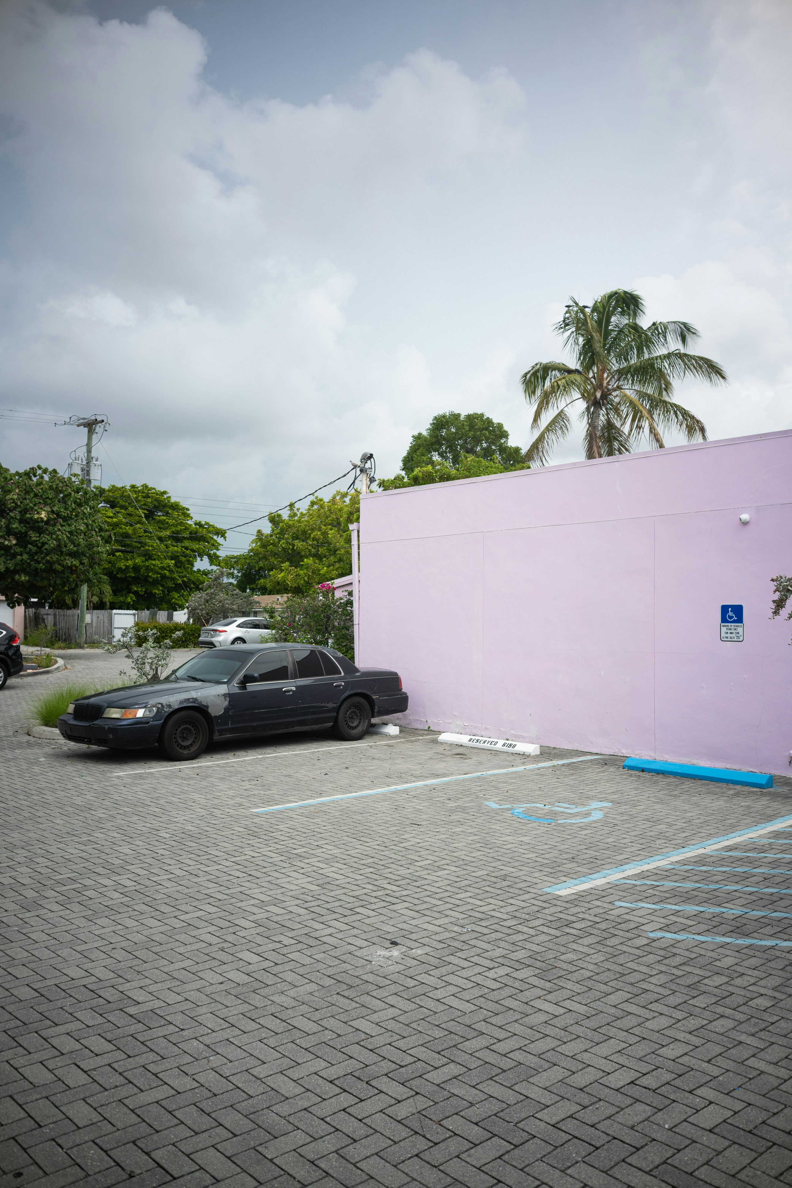 Lilac Facade and Palm Shade by the Parking Lot
