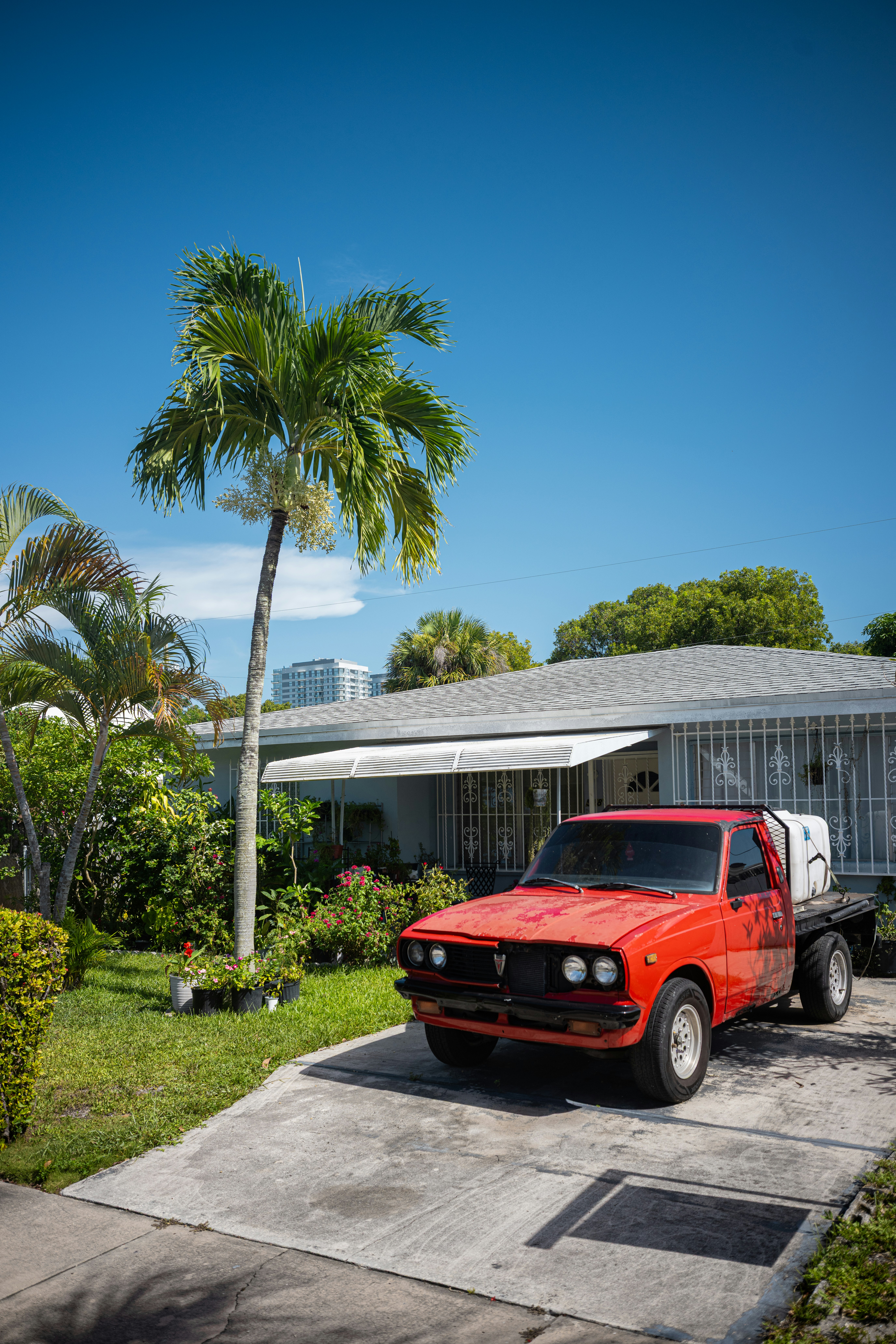 Red Workhorse in the Palm-Shaded Drive
