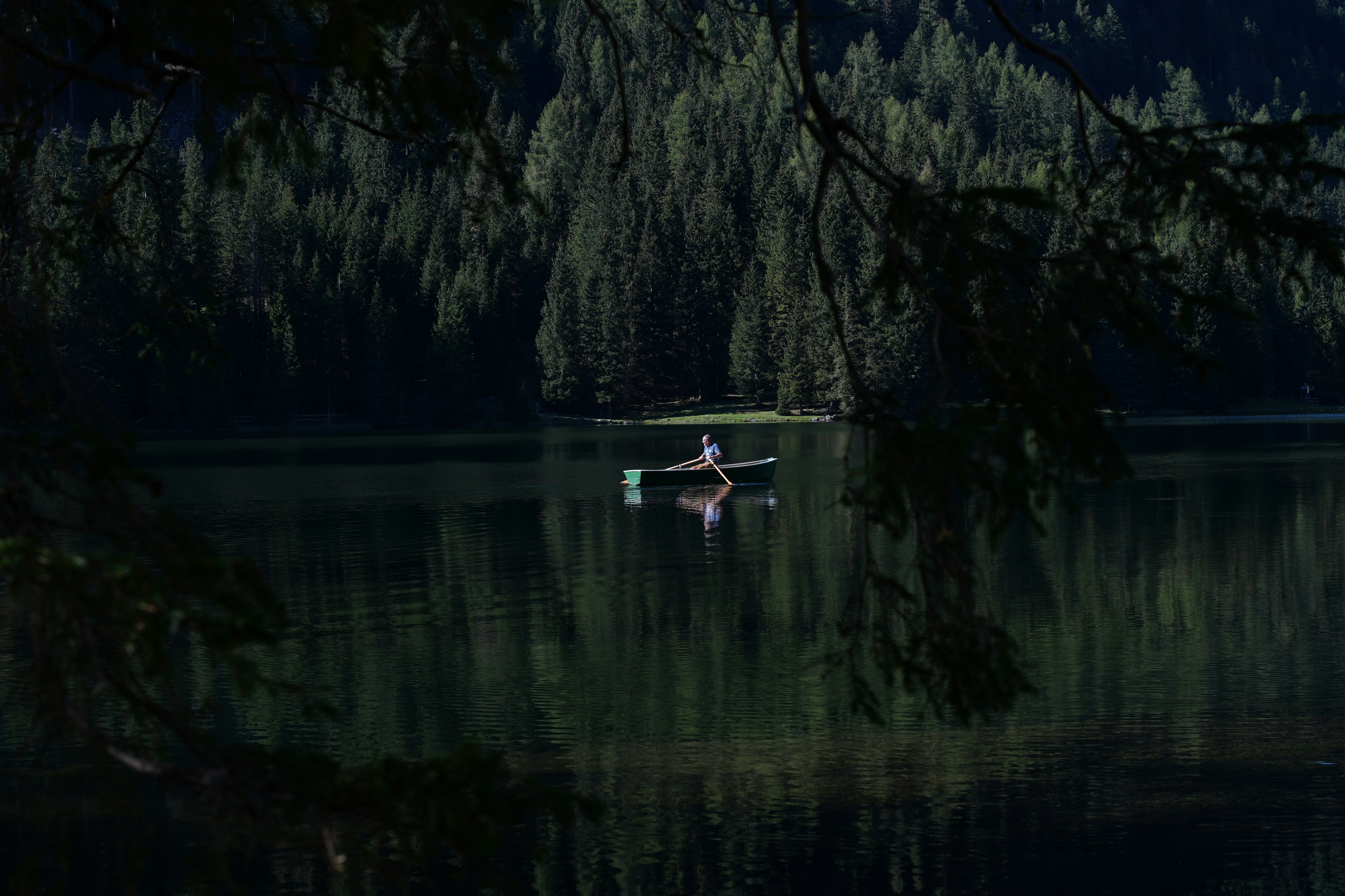 Solitary Rower Amid a Still Forest Lake