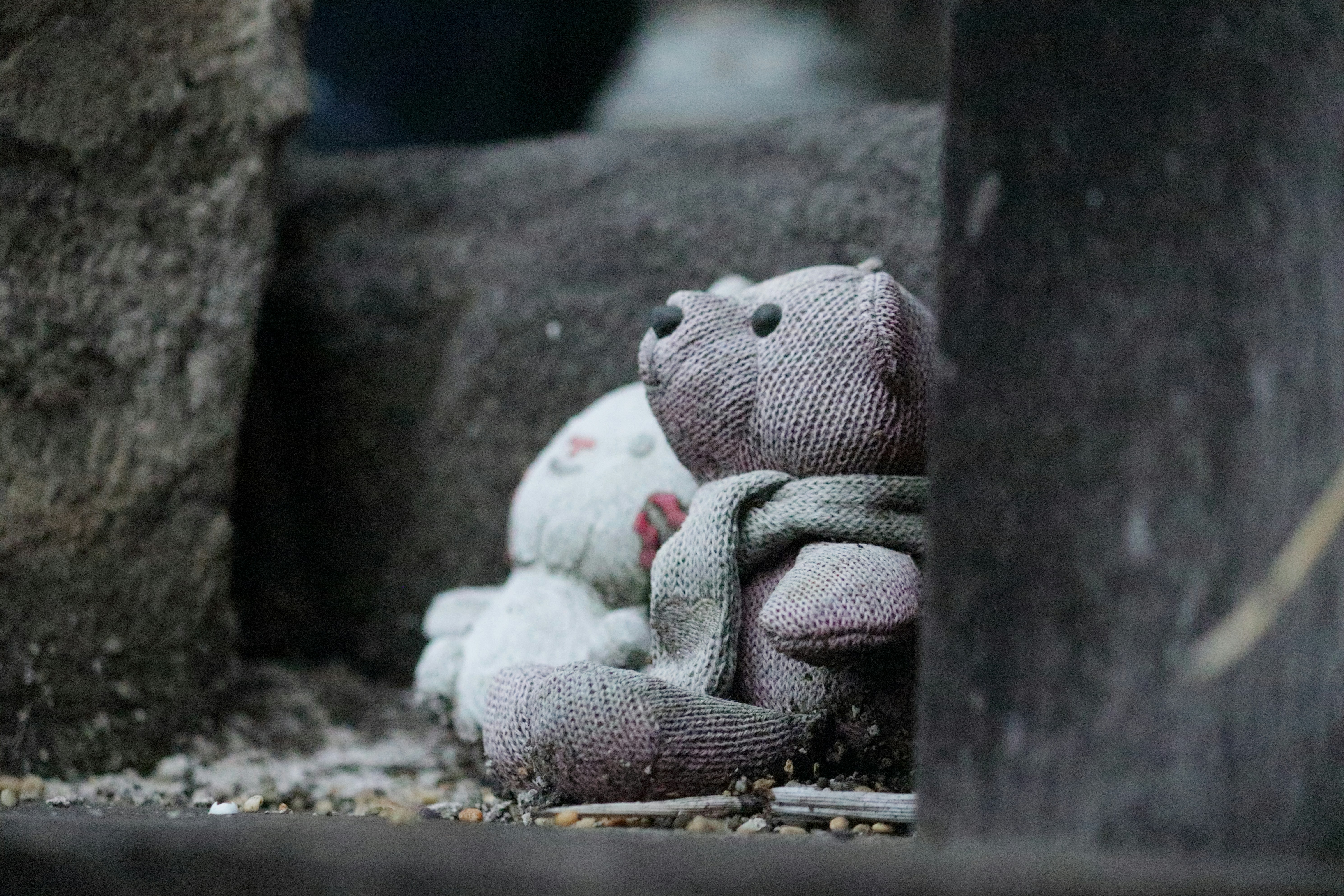 Tucked-Toy Quiet: A Pair of Cushioned Companions in the Balcony Shade