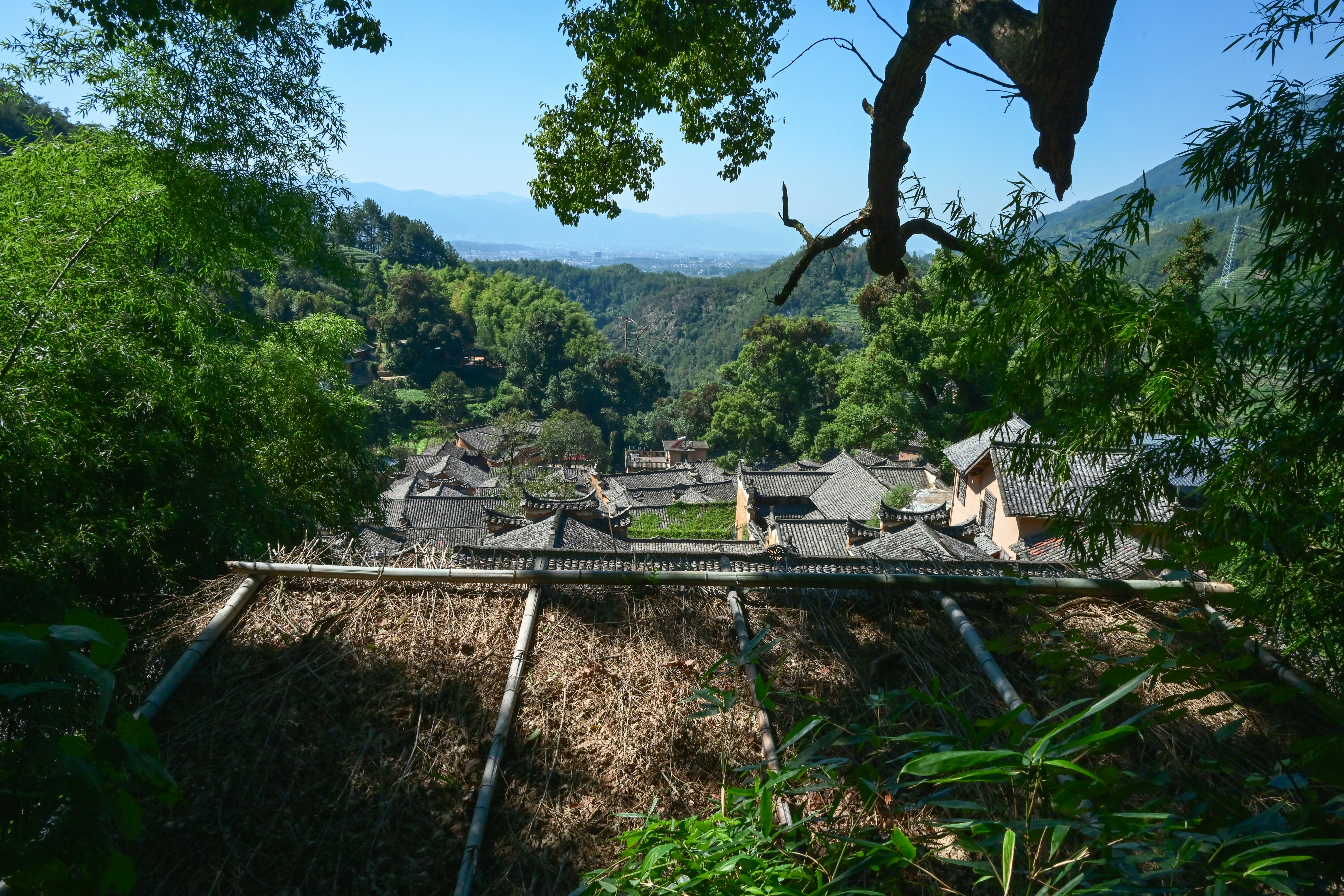 Terraced roofs peek through a forested hillside, framed by overhanging branches with a panoramic valley beyond.