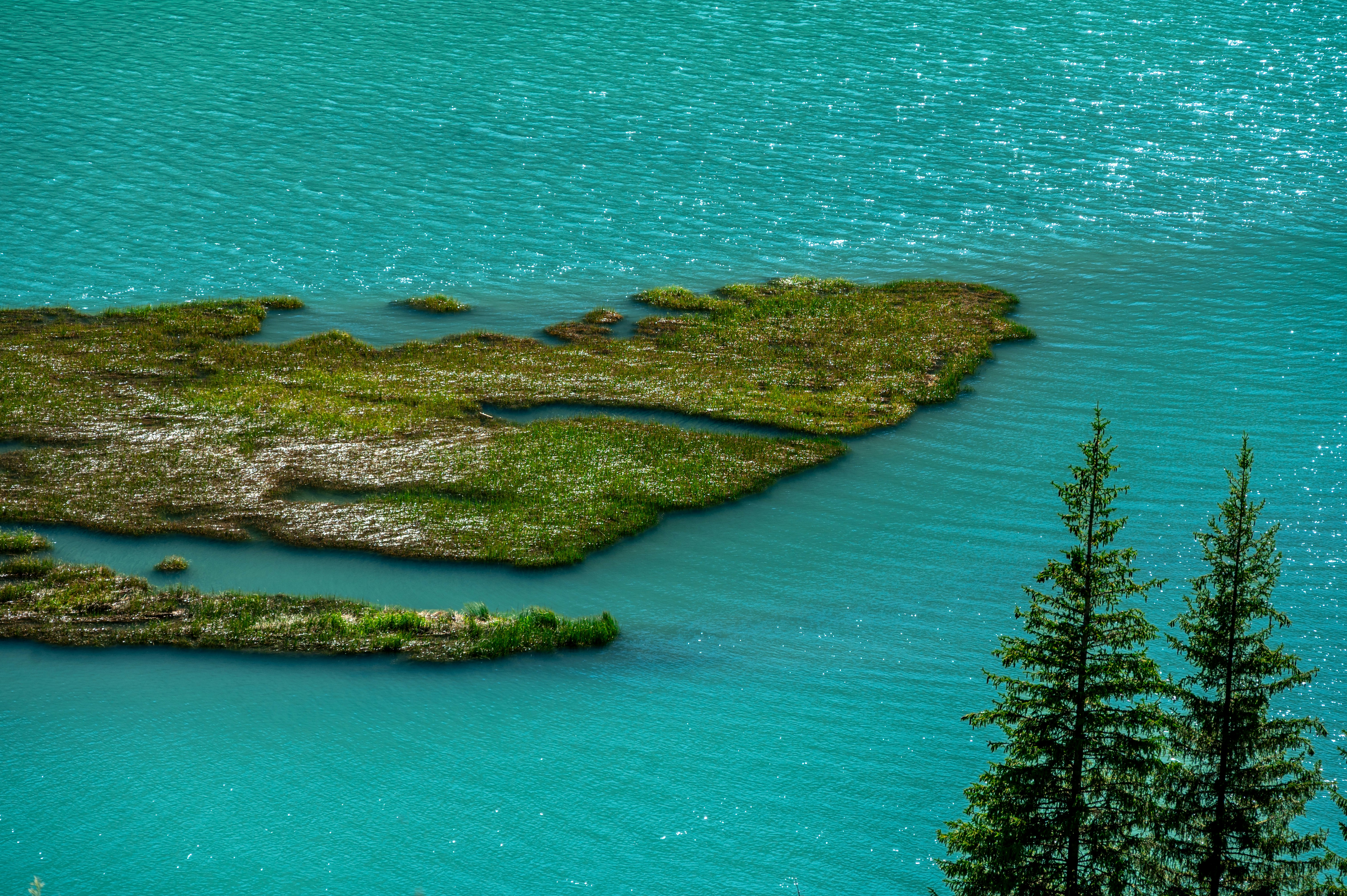 Turquoise Waters Meet Rugged Shore: Aerial View of Lake Edge and Pine