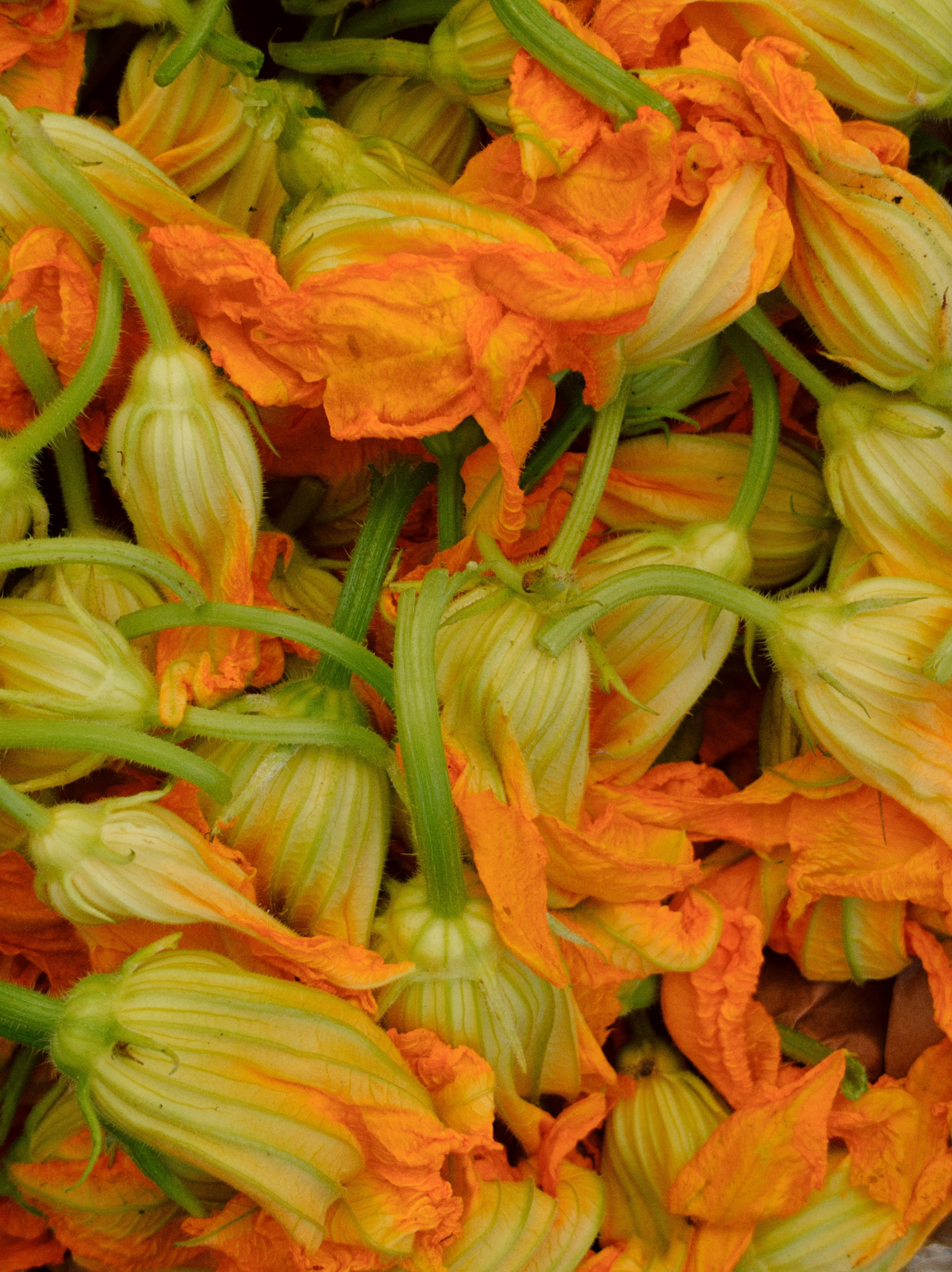 A pile of vibrant orange squash blossoms with green stems and petals
