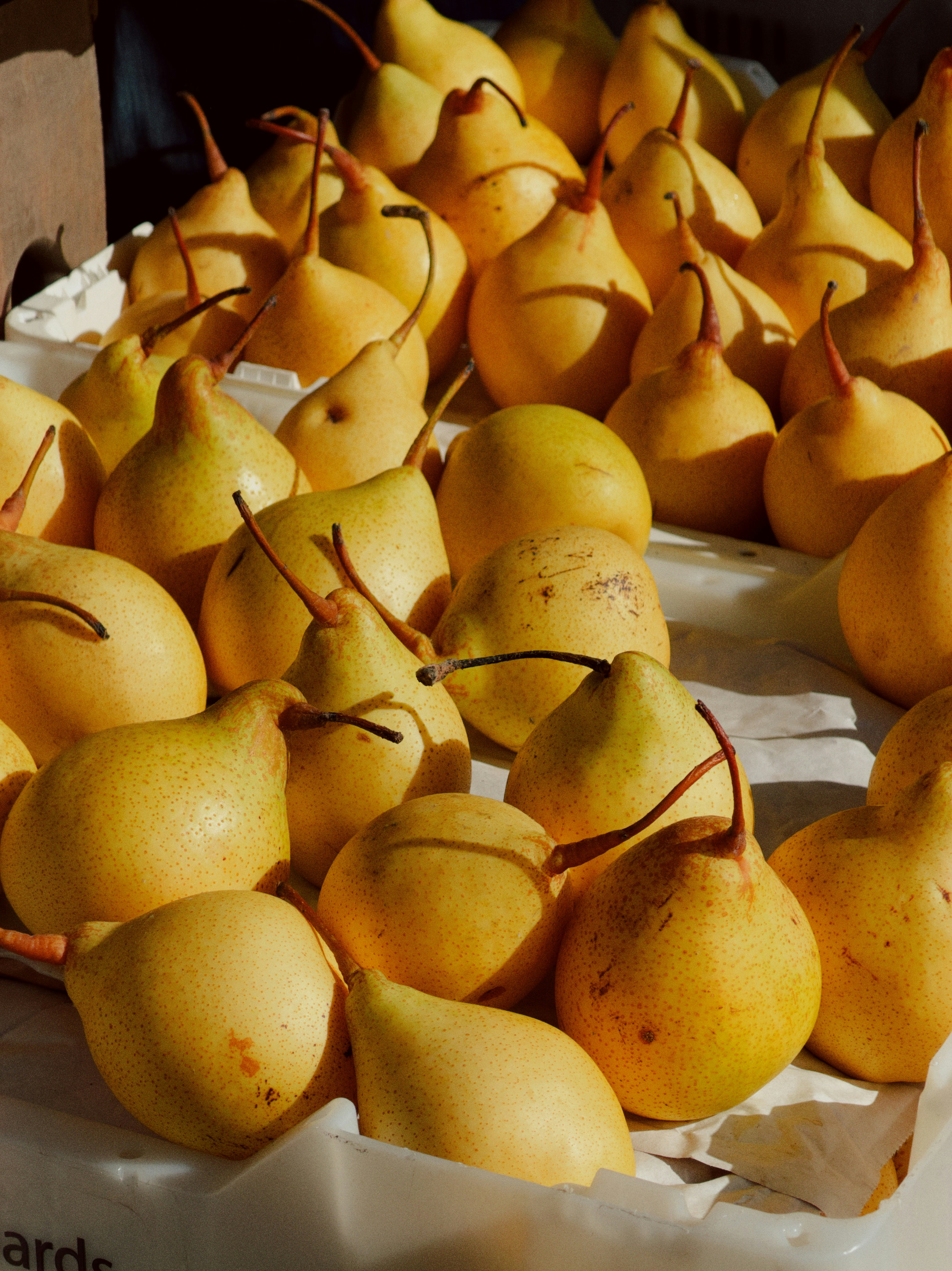 A crate filled with many ripe yellow pears under bright sunlight