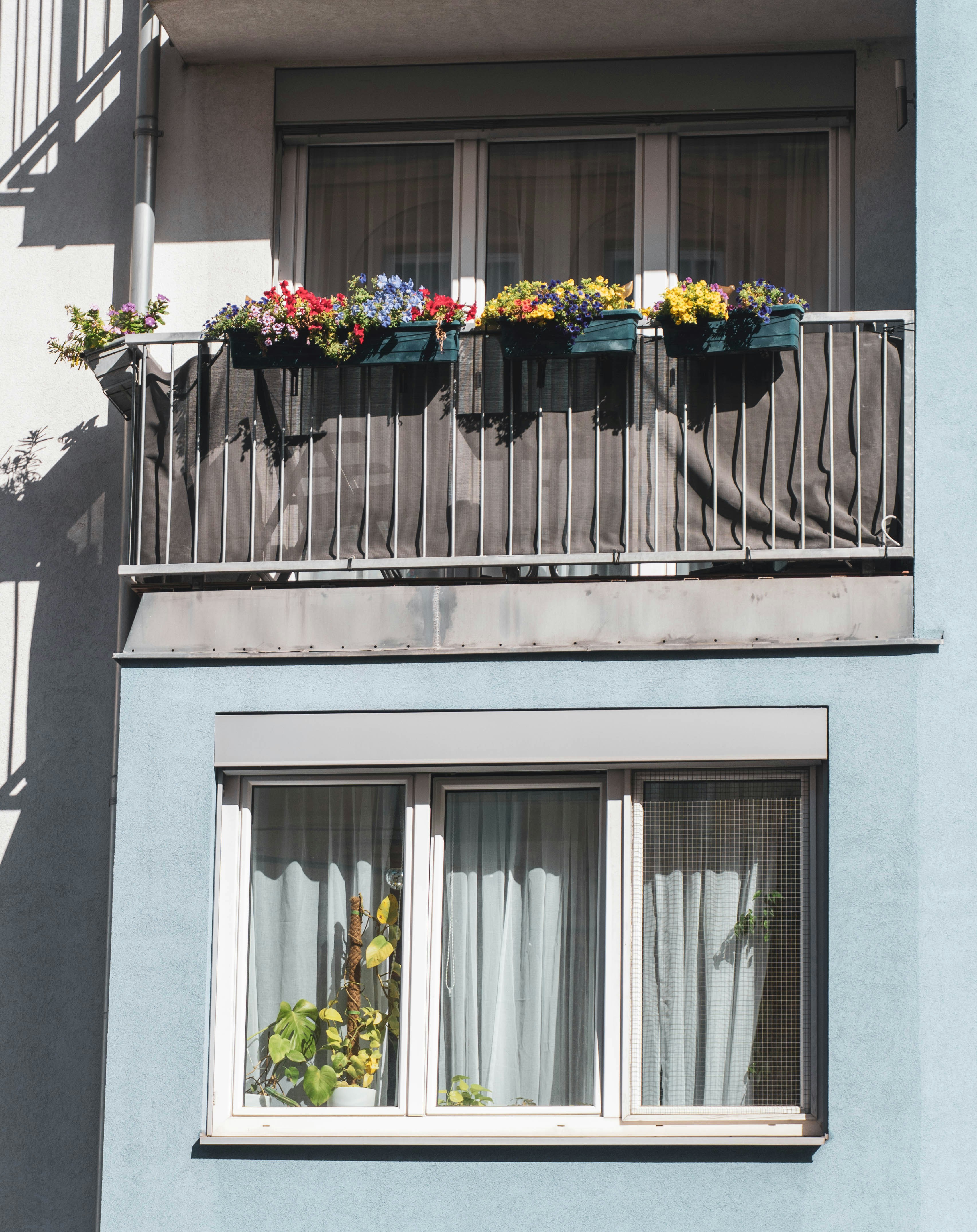 Floral Balcony Portrait on a Pale Blue Facade