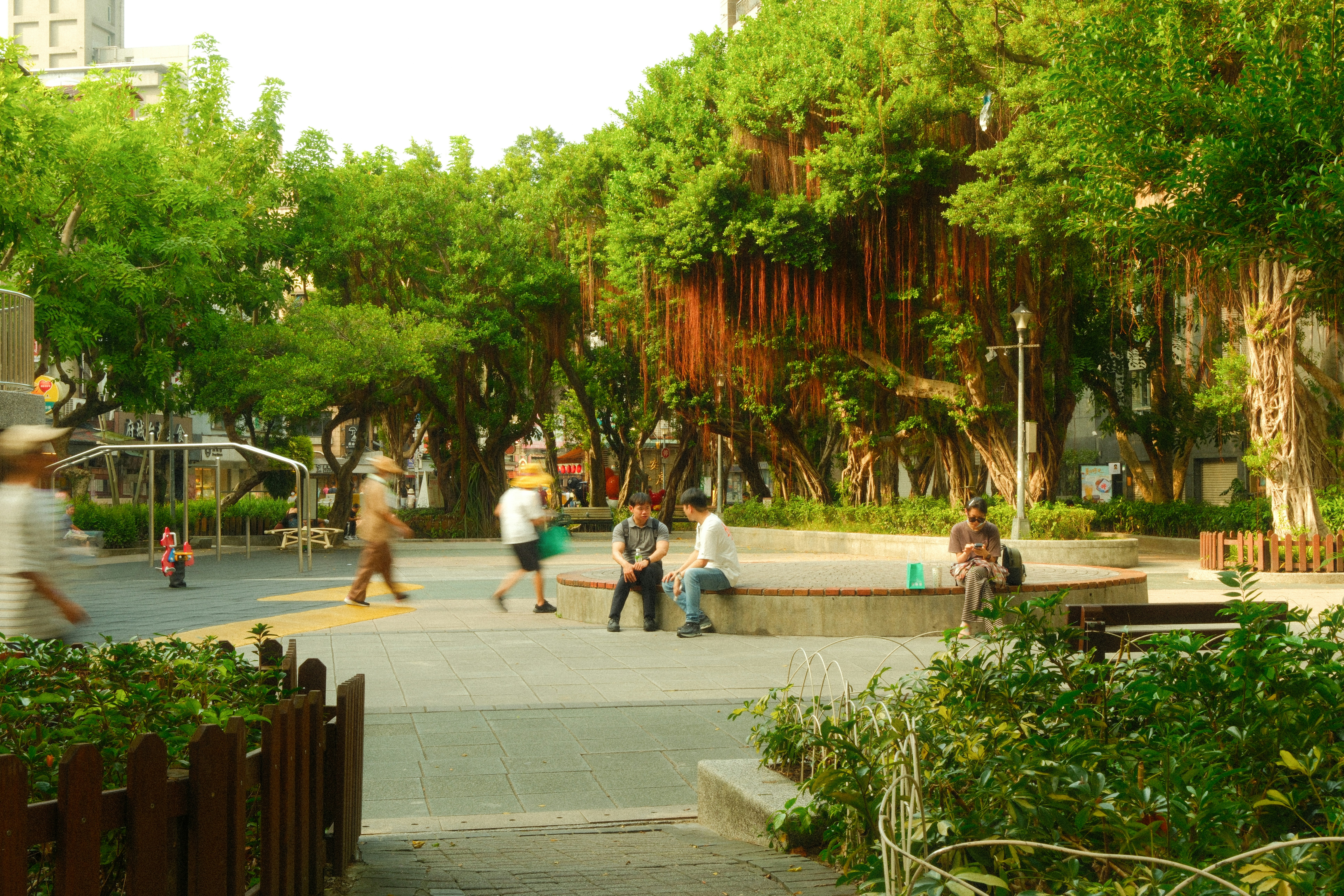 Sunlit Square: Afternoon Portraits of a Quiet Urban Park