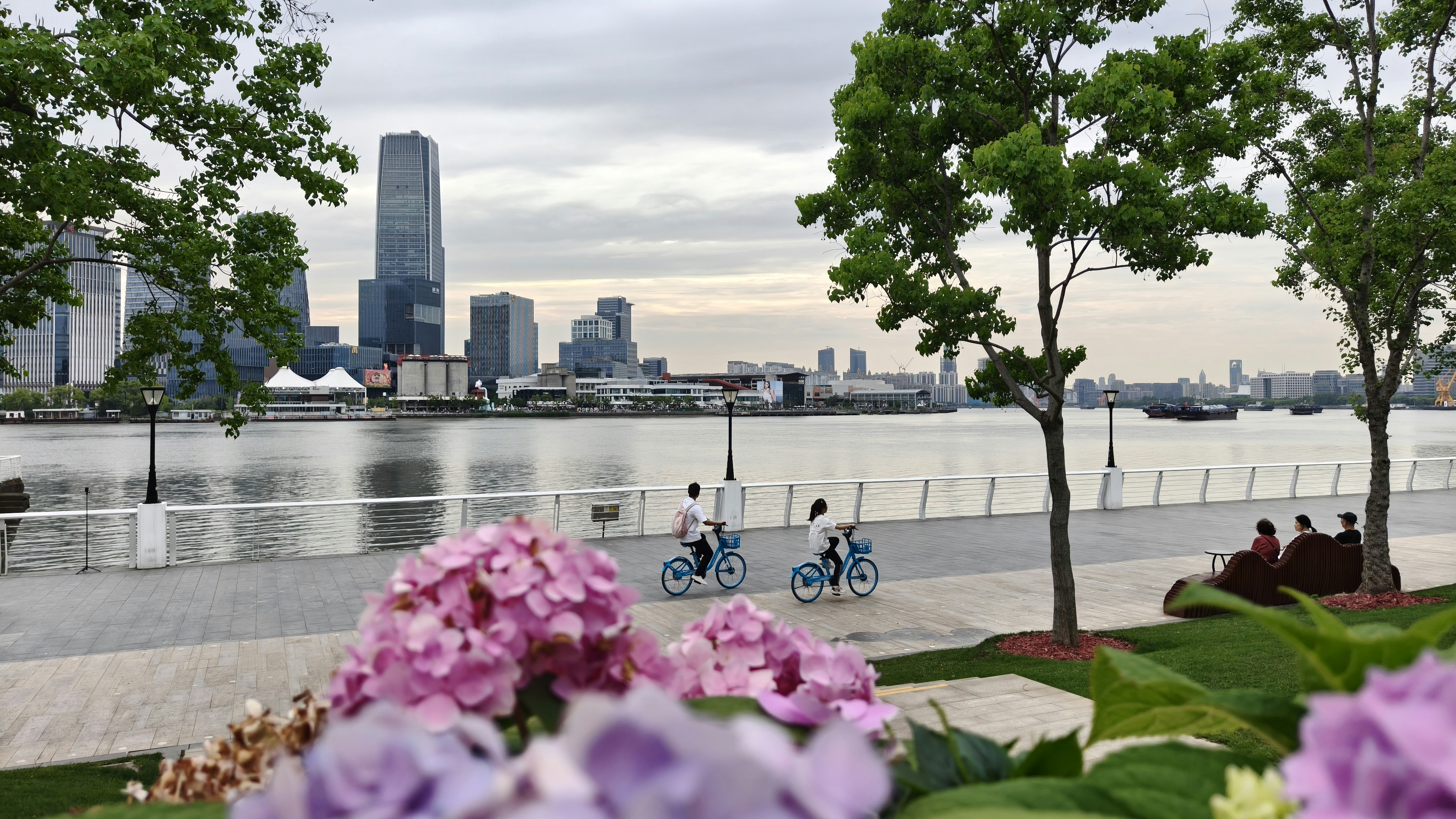 Vivid pink flowers in the foreground frame a riverside promenade with cyclists and a calm urban skyline in the distance.