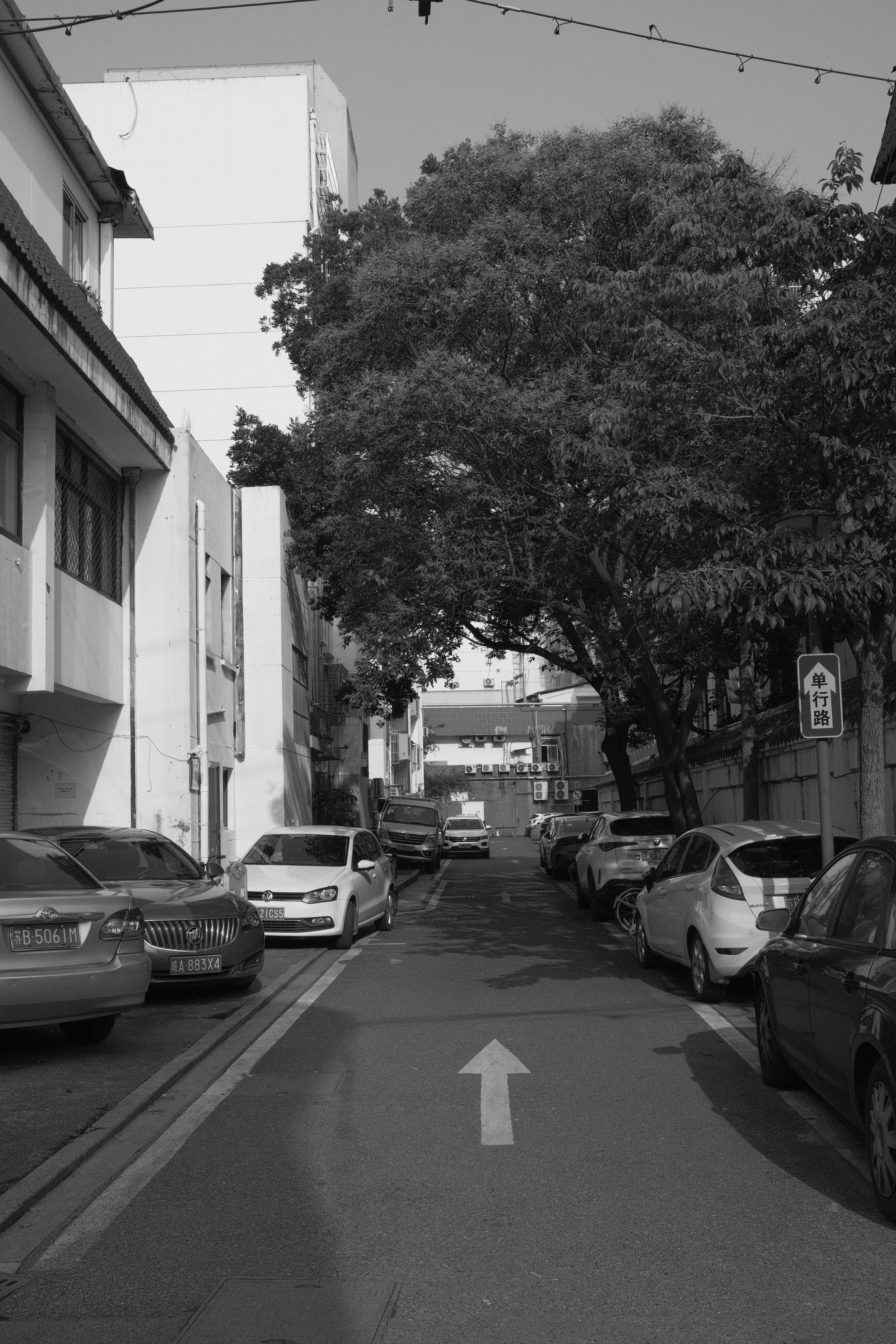 Centered Arrow: A Quiet Urban Corridor Collapsing into the Distance