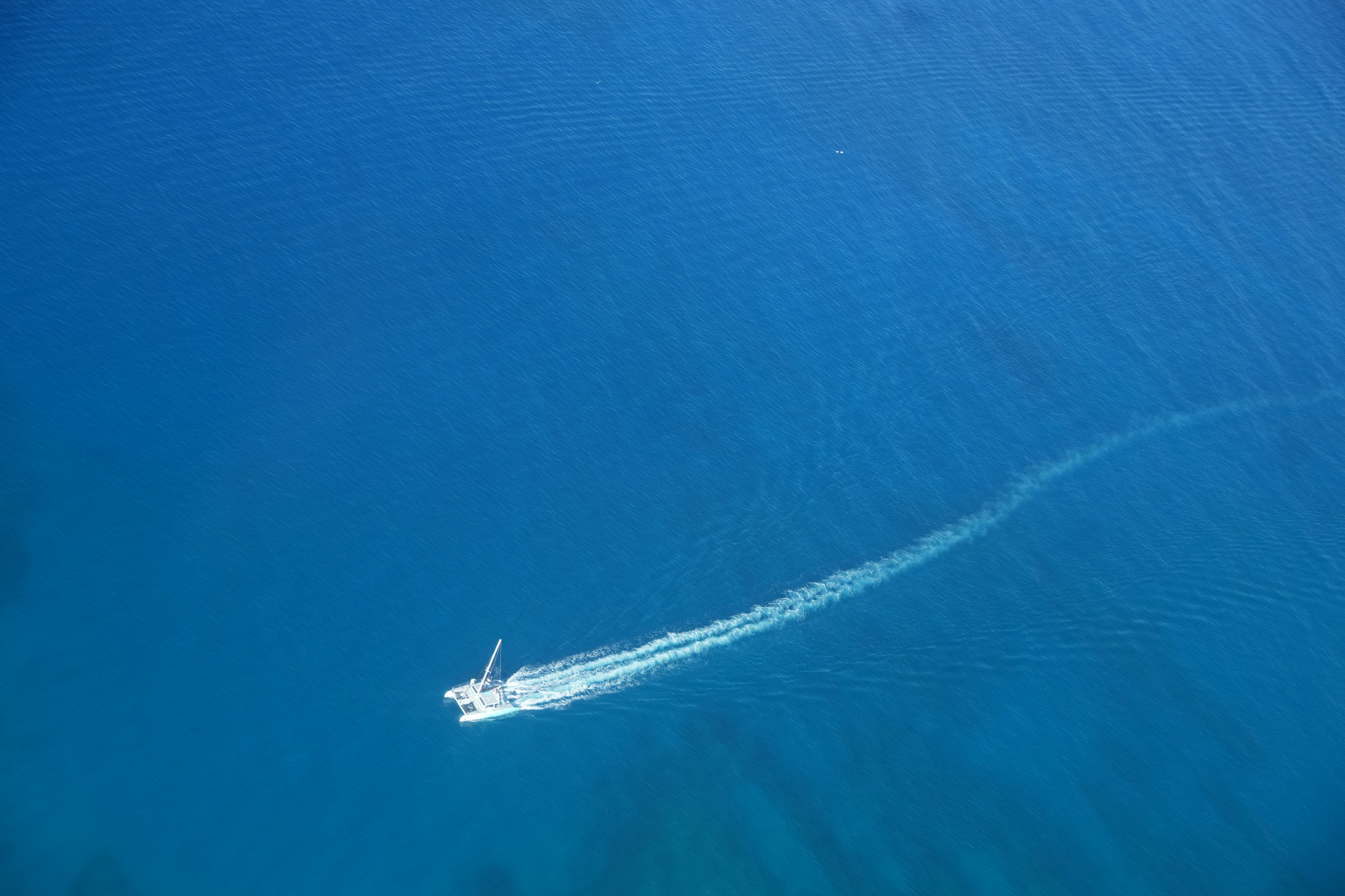 A small motorboat creates a frothy wake as it cruises throughdeep blue water, seen from above; the scene emphasizes open ocean and motion. This is a photograph, not a painting or illustration.