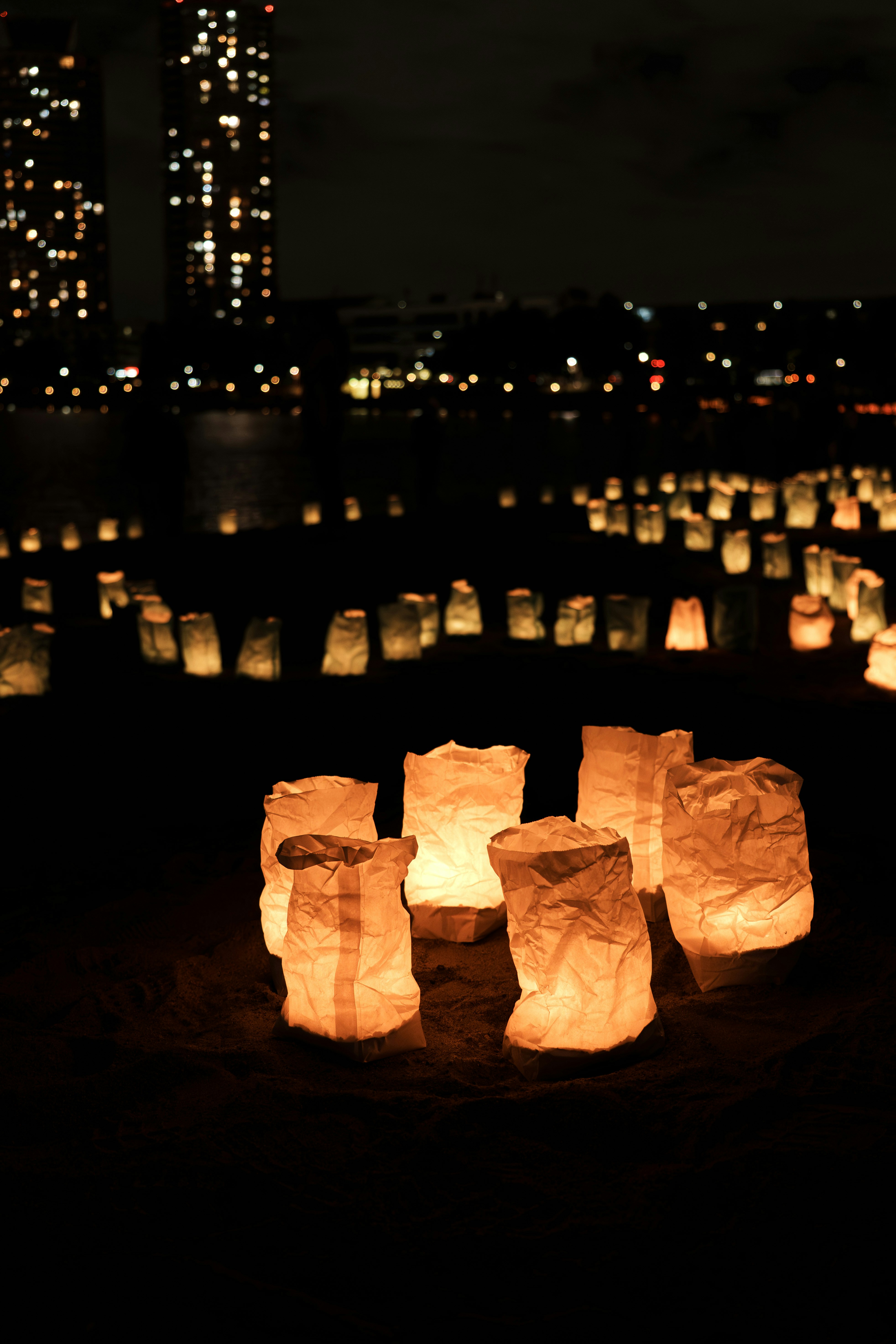 Glowing Lantern Fields on a Moonlit Shore