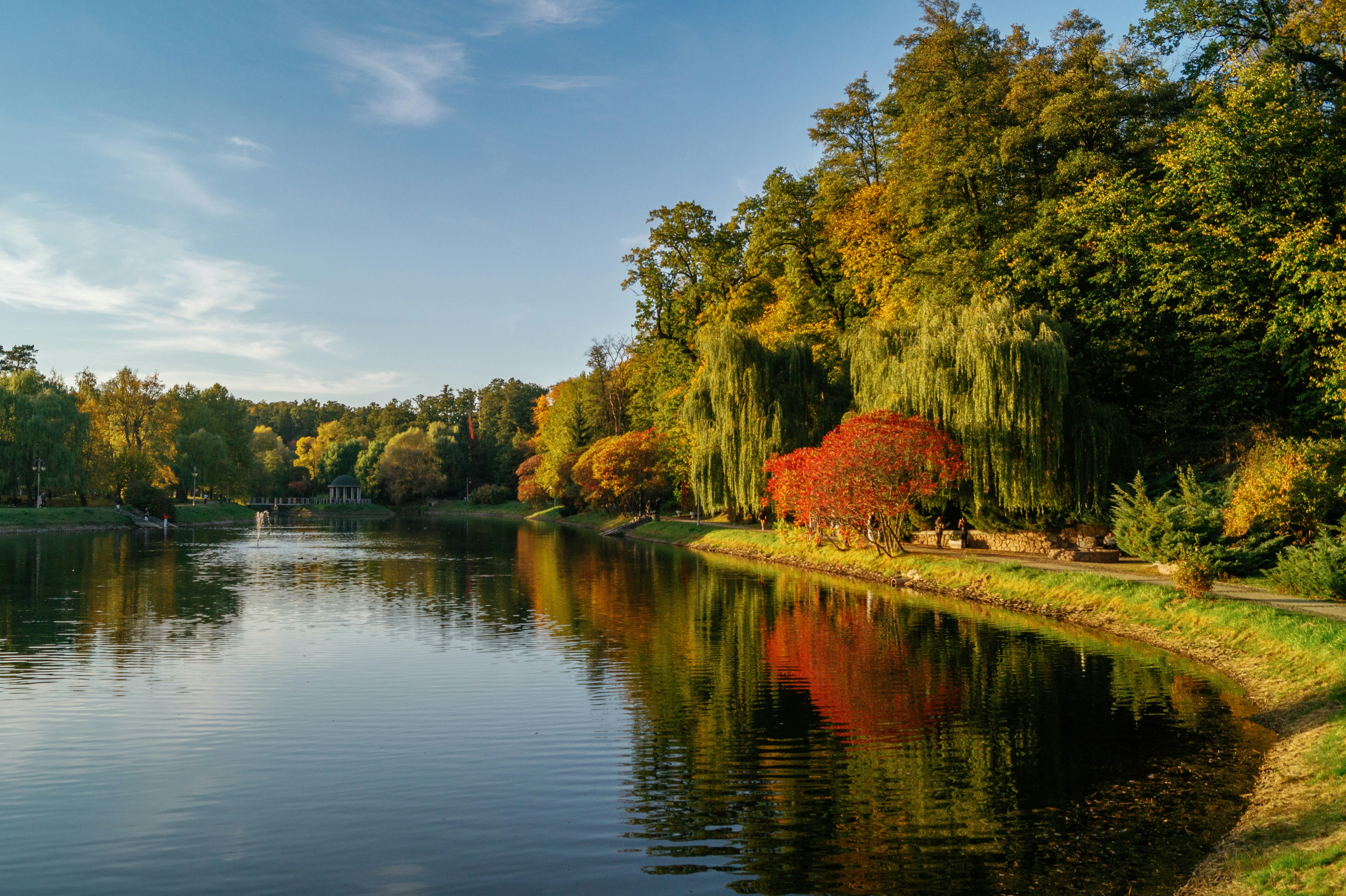 Autumn Veil Over the Lake: Reflections in a Quiet Park