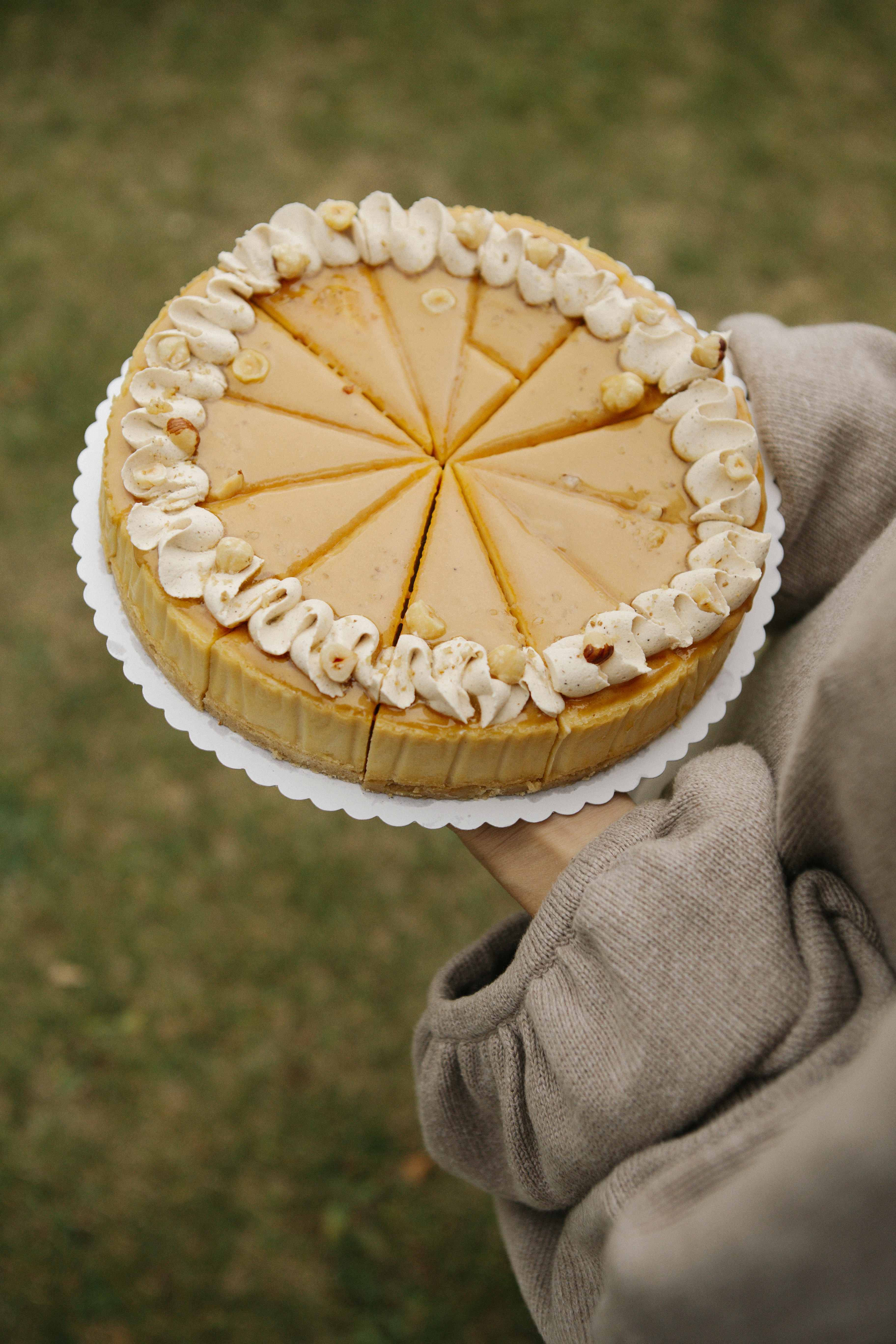 Slice of Sunshine: Creamy Cheesecake Held Aloft