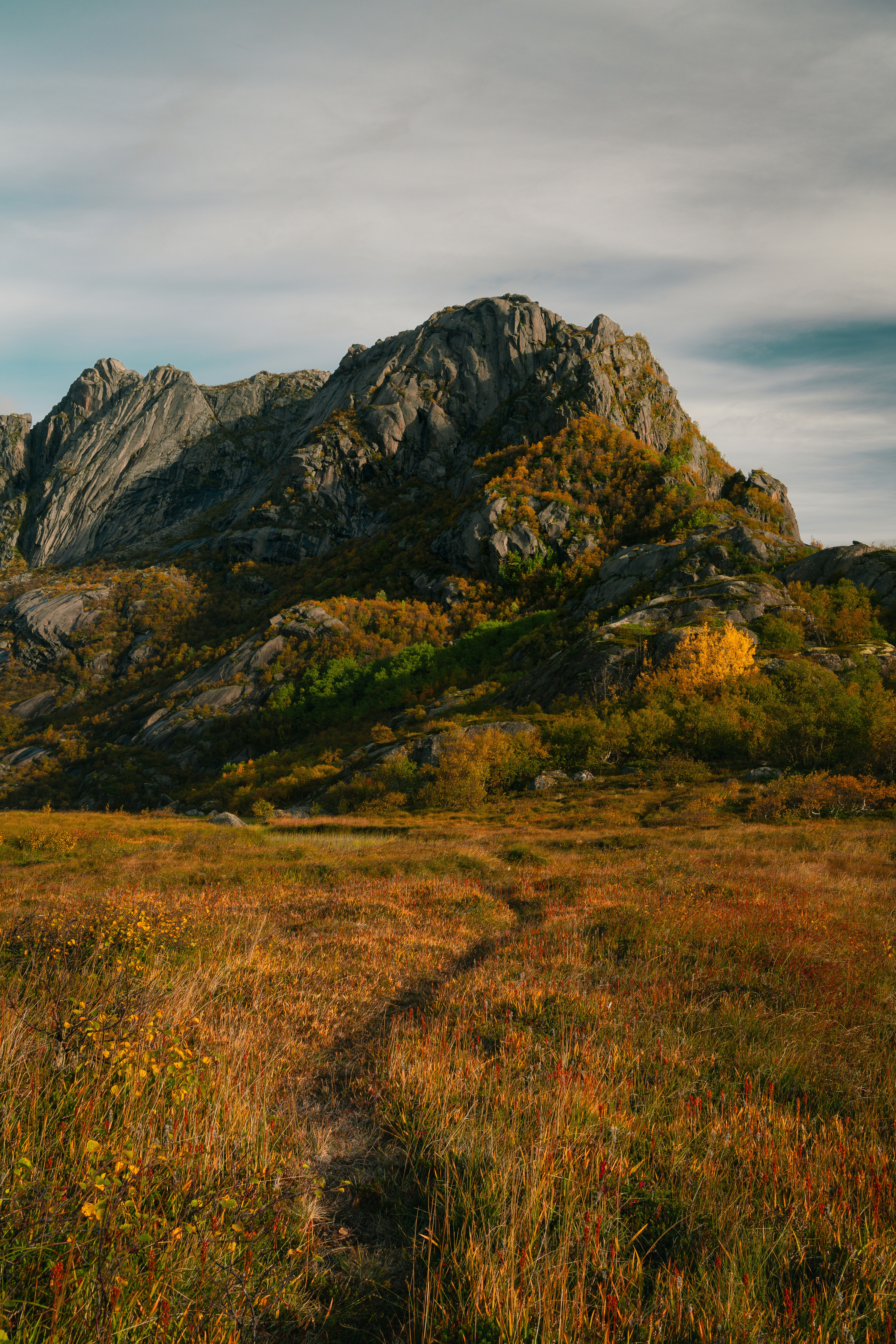 Autumn Peak: Golden Field at the Foot of Rugged Summit