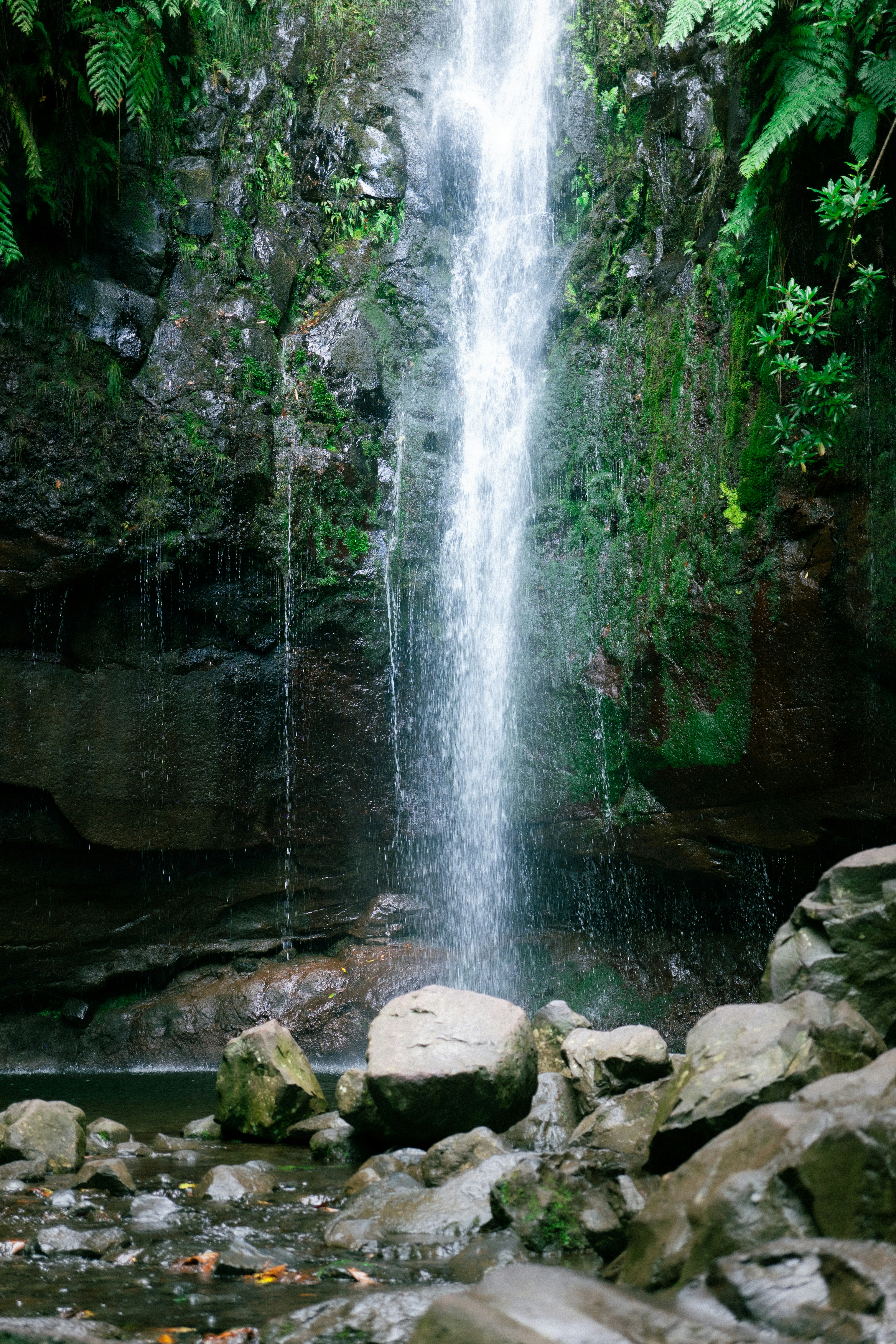 Cascading Veil: A Narrow Falls Between Mossy Rocks