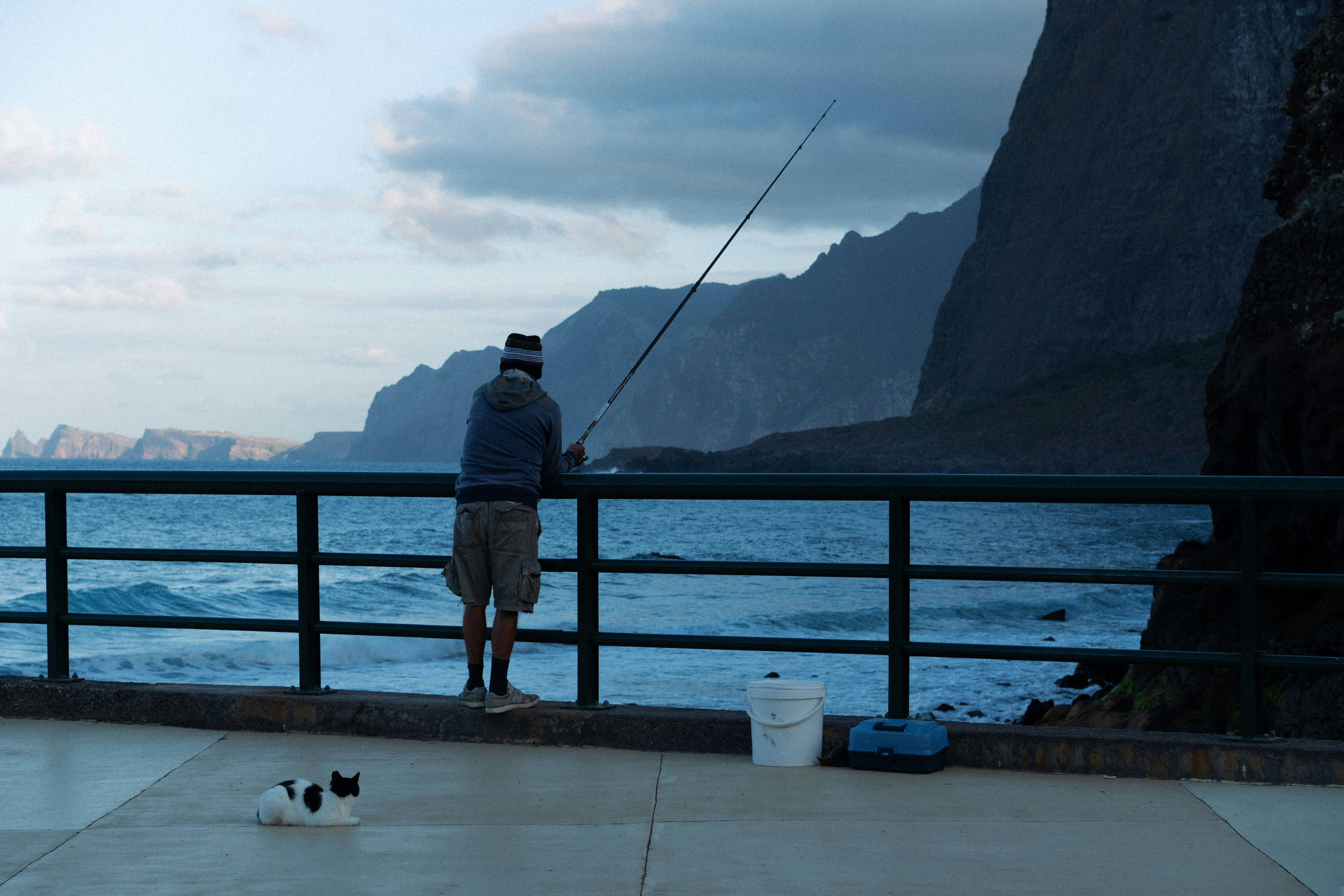 Fisherman at a railing along a rocky coastline, with a cat resting on the foreground concrete and gear nearby.