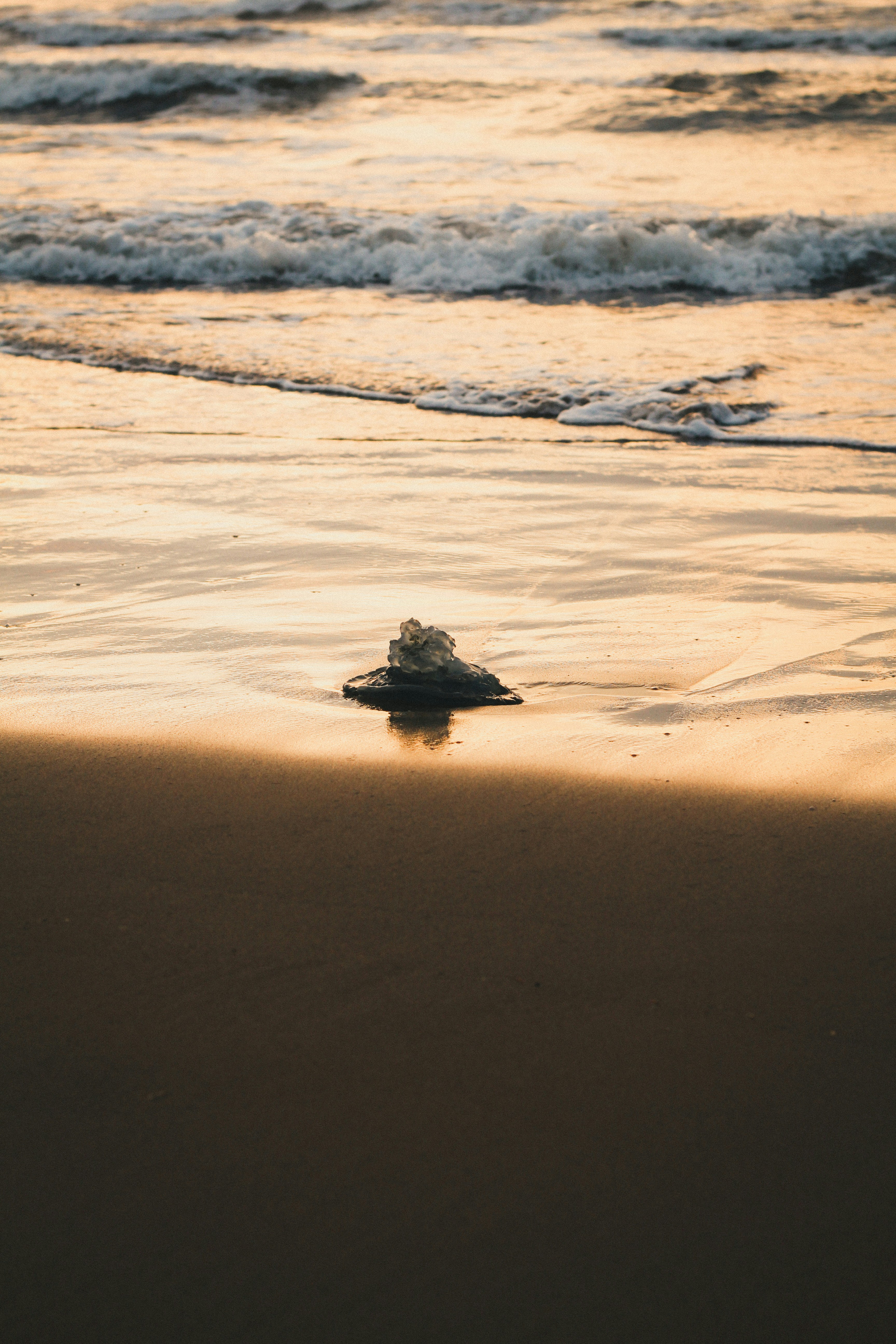 Floating Ice Sculpture on a Sunset Tide