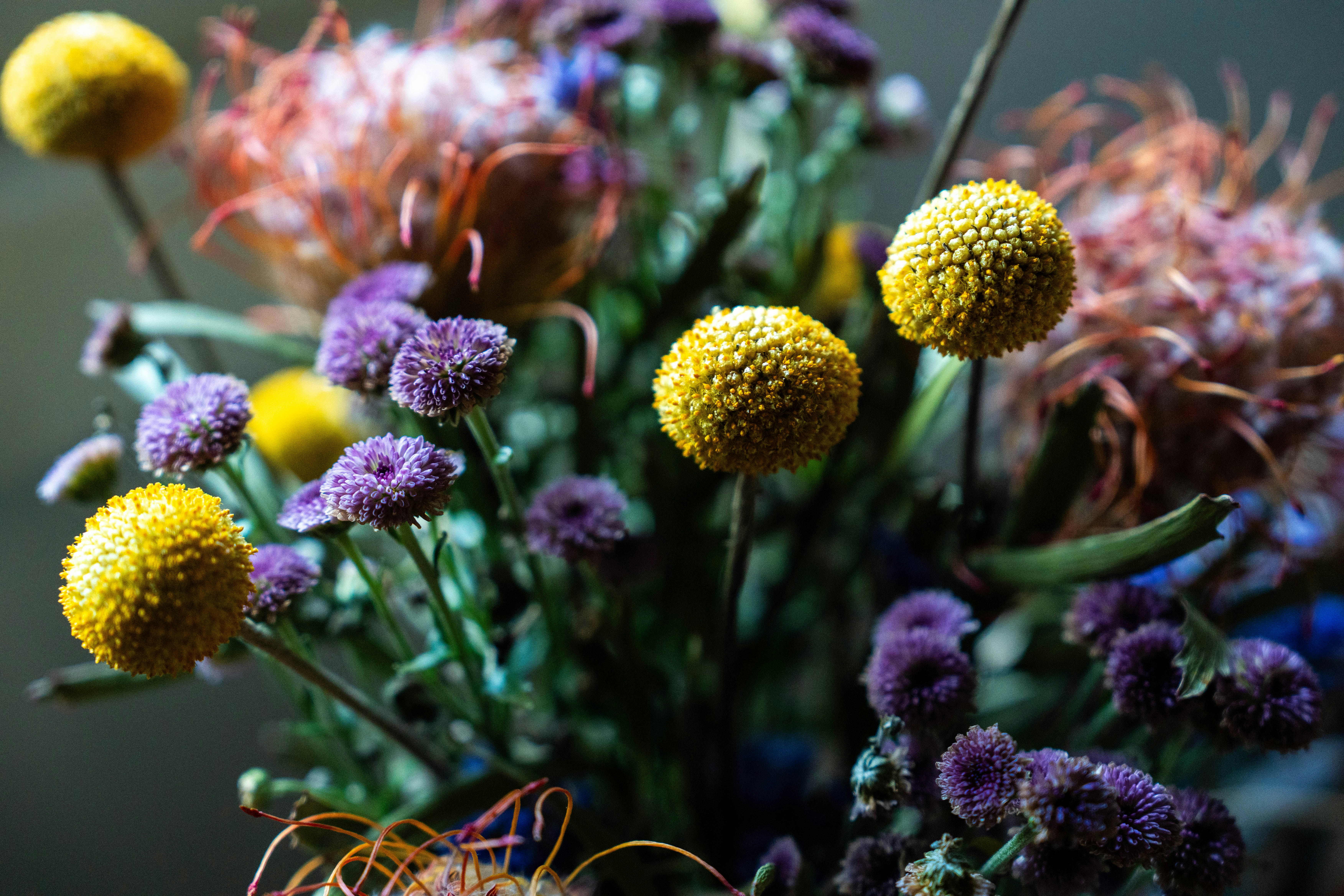 Golden Berries and Violet Orbs: A Burst of Color in a Silent Bouquet